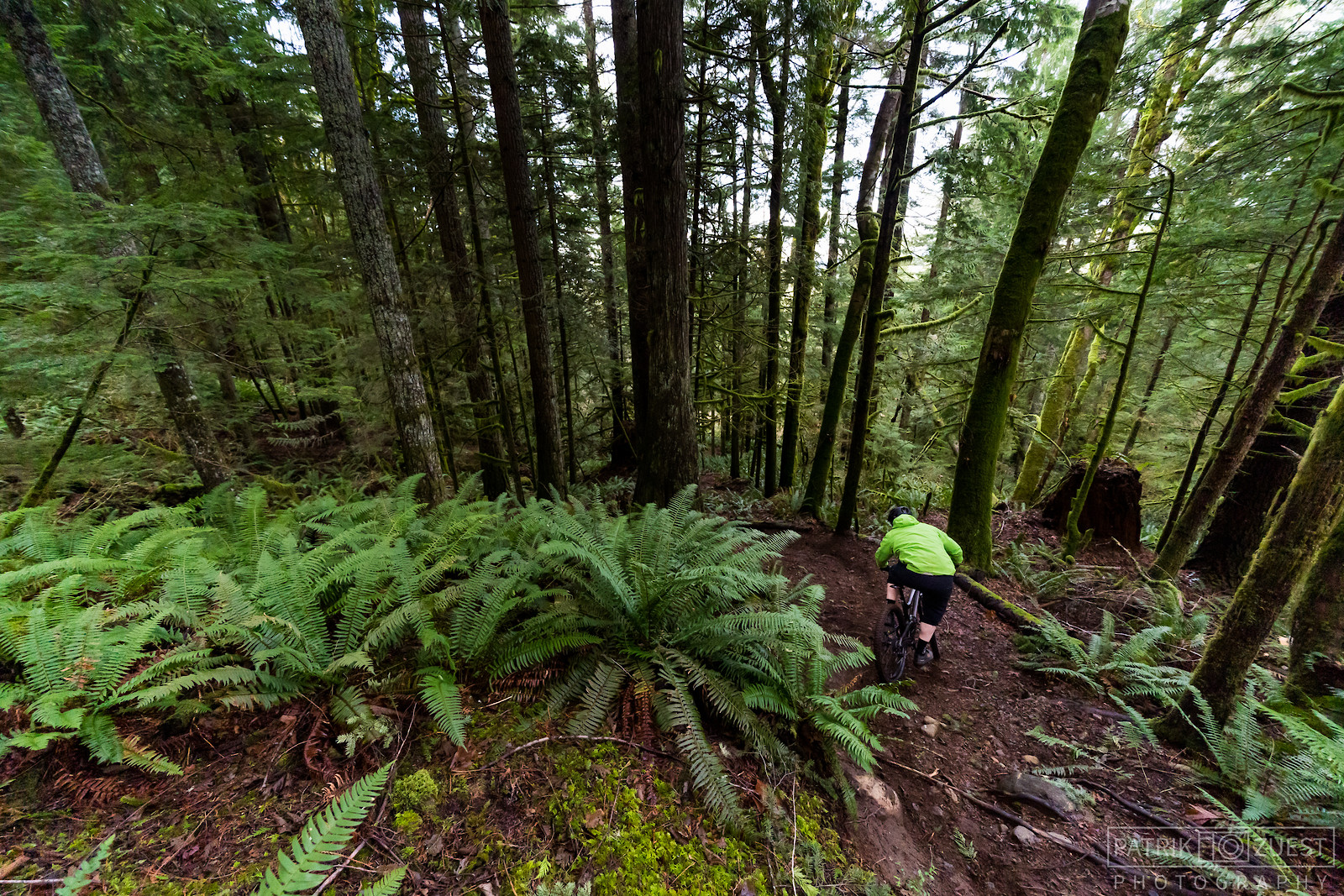 Ray-27-Zuest-11 - Zuestman - Mountain Biking Pictures - Vital MTB