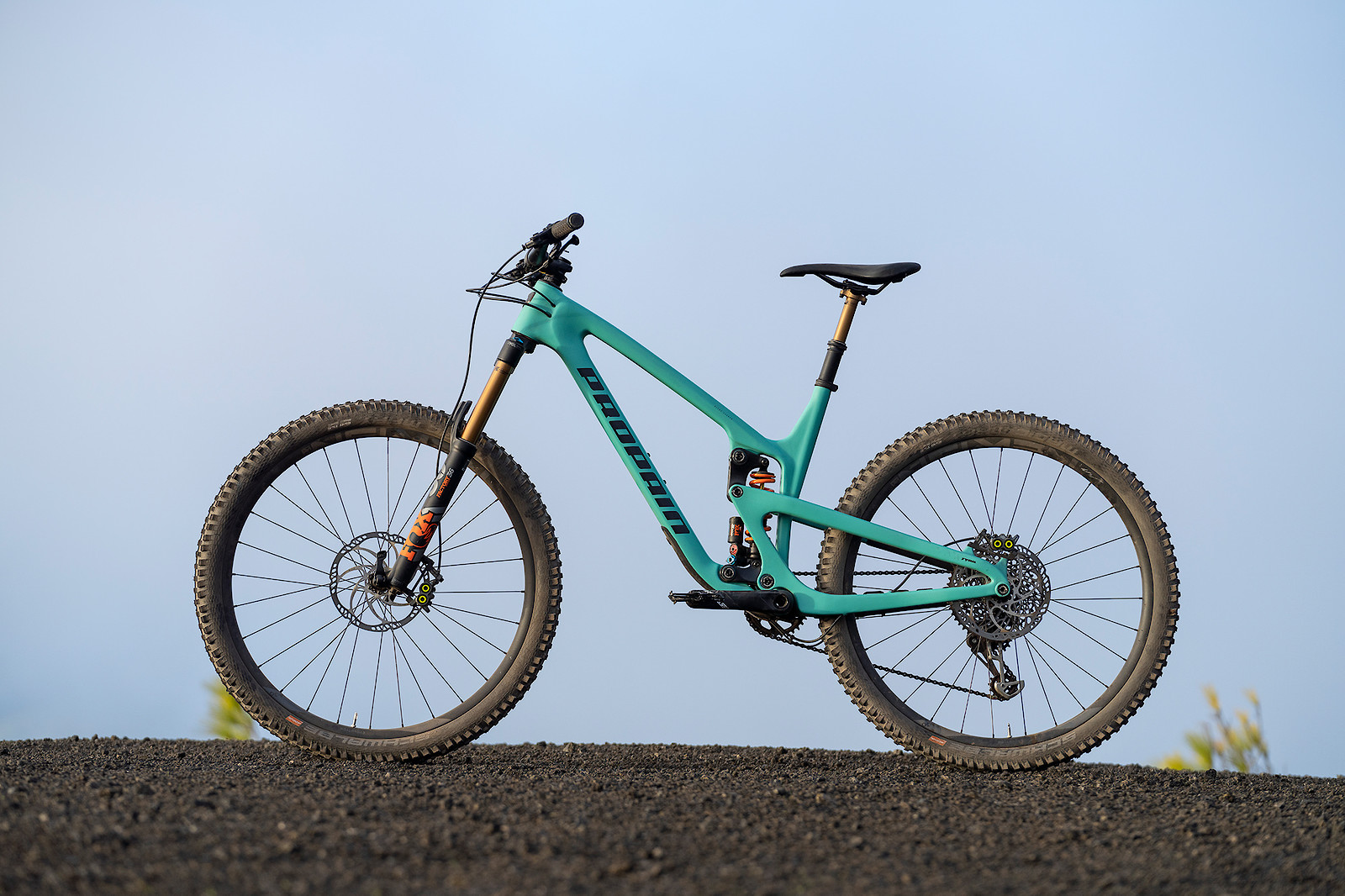 Propain Tyee 2020 Bad mint - Propain Bikes Official's Bike Check ...