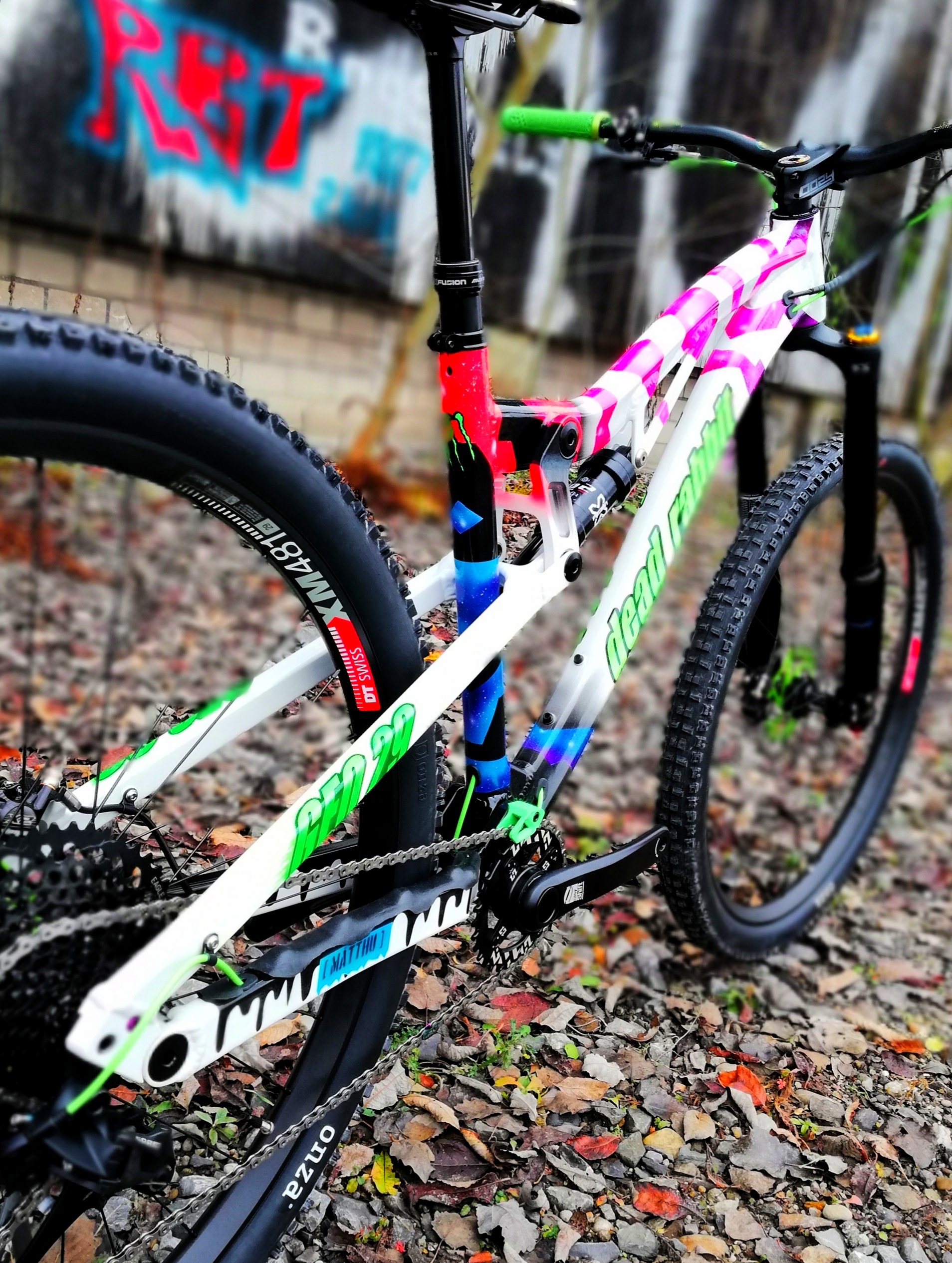 dead rabbit Geo 29 Custom Job - deadrabbit's Bike Check - Vital MTB