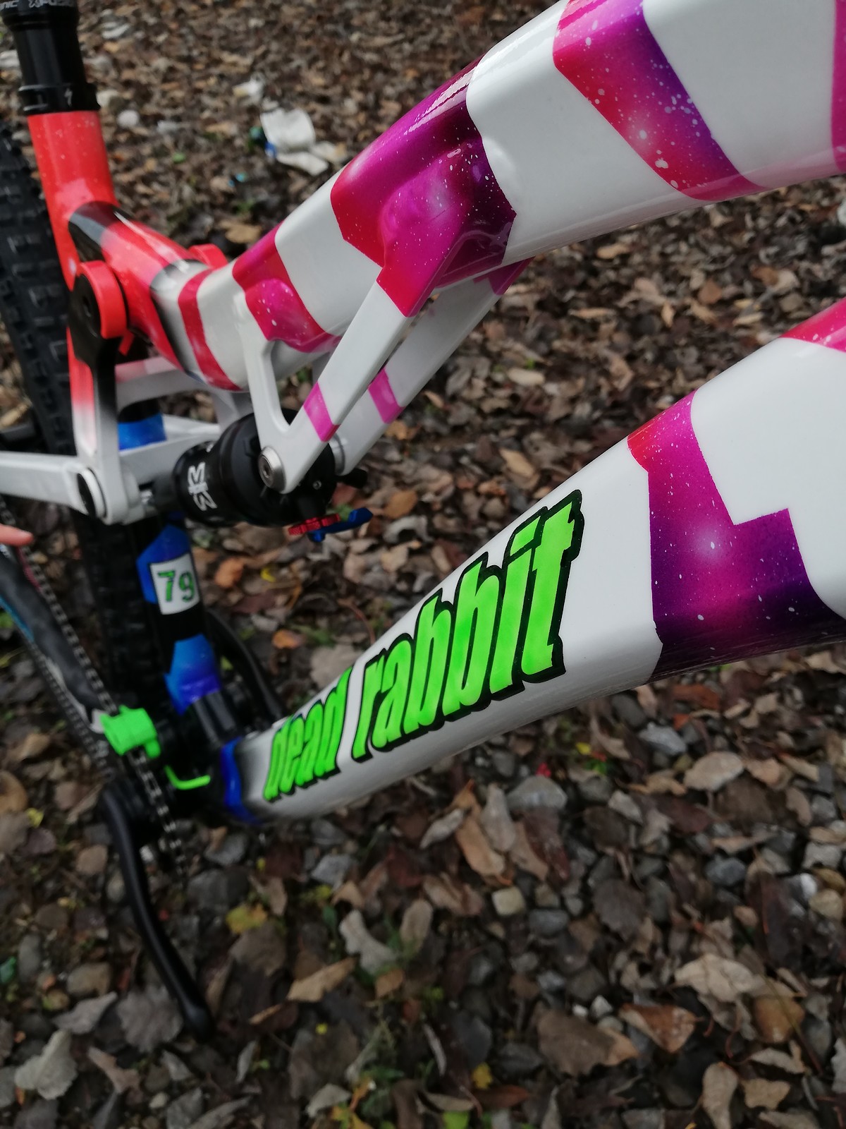 dead rabbit Geo 29 Custom Job - deadrabbit's Bike Check - Vital MTB