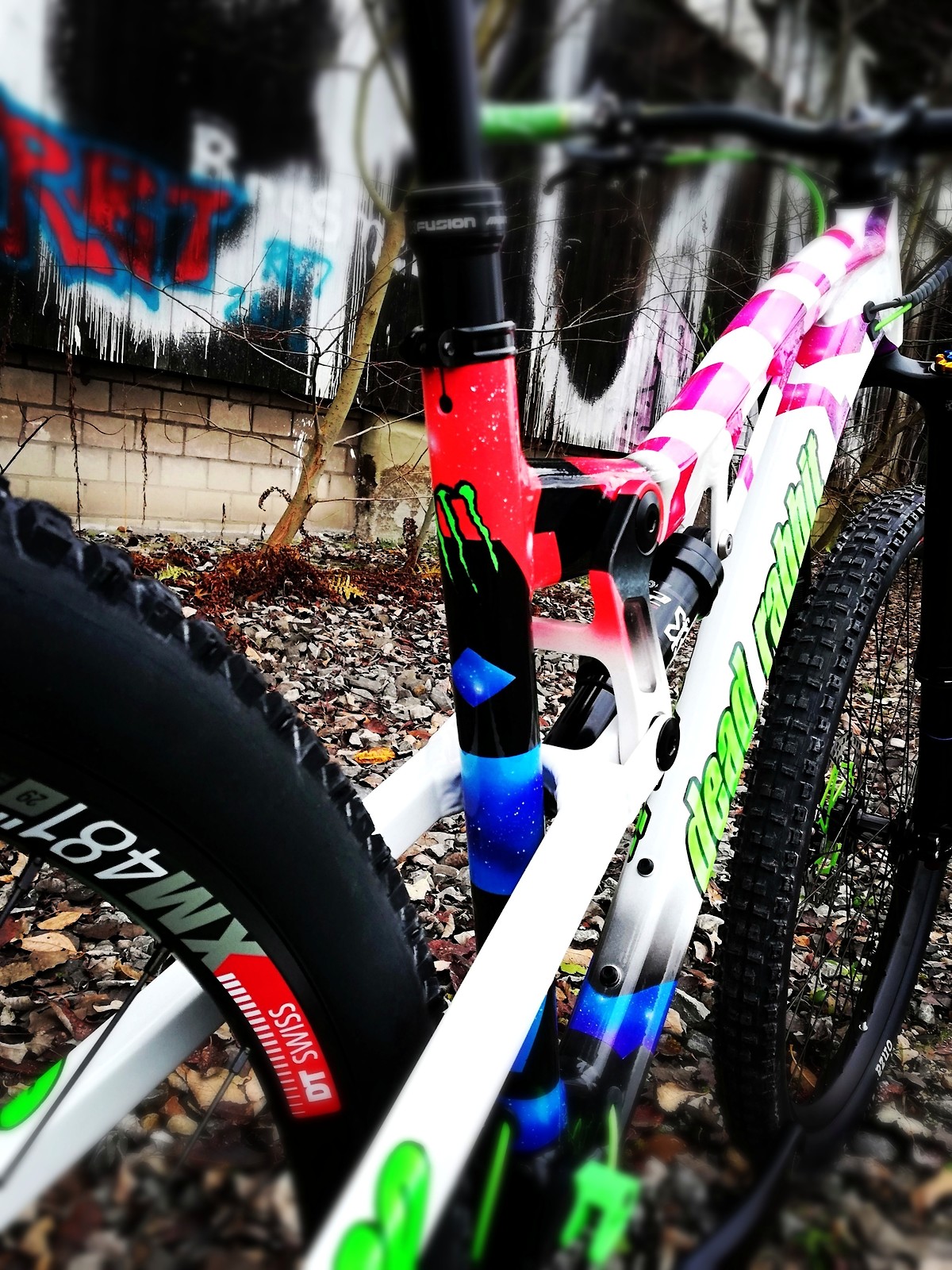 dead rabbit Geo 29 Custom Job - deadrabbit's Bike Check - Vital MTB