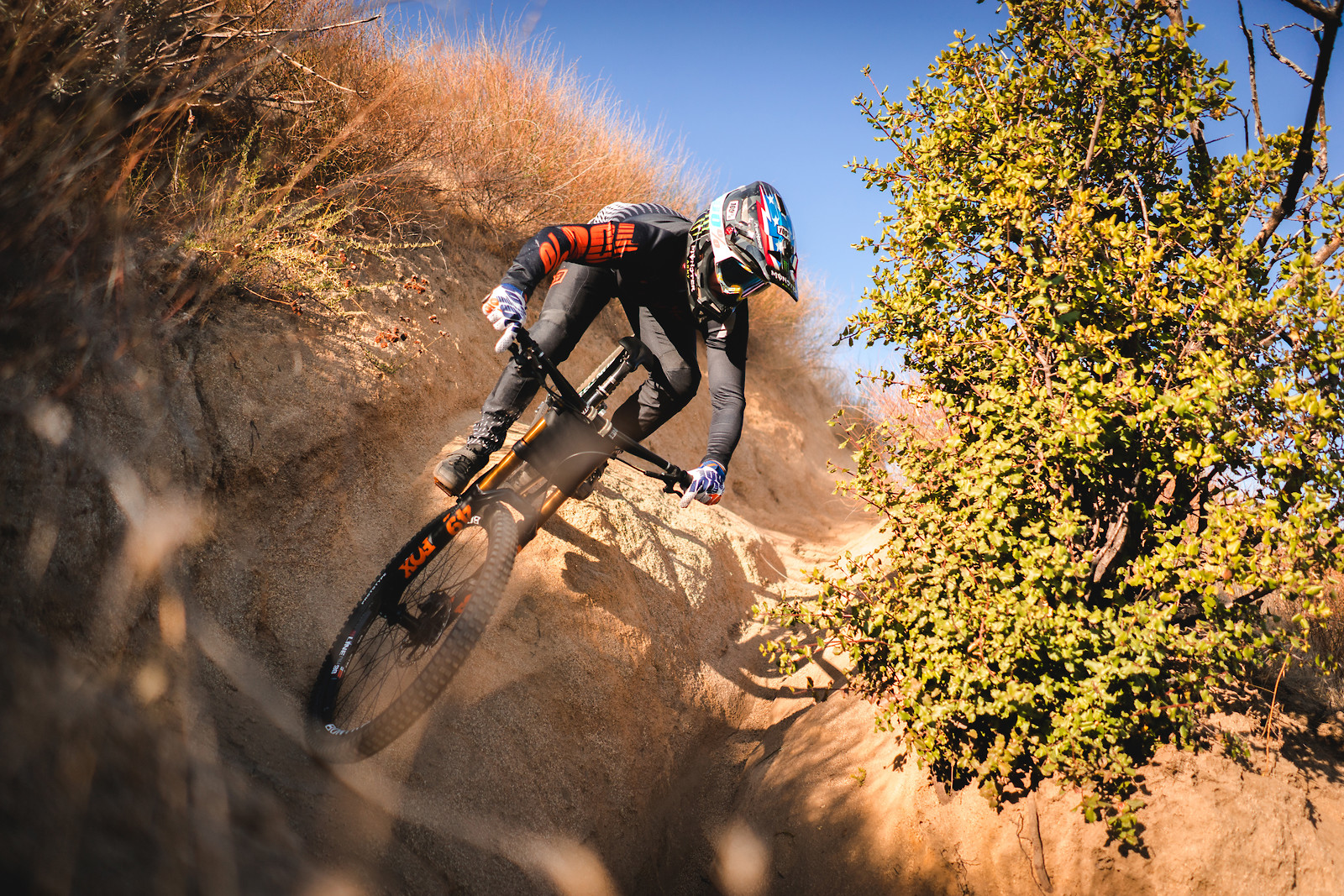 Cole Picchiottino - sammcneesphotography - Mountain Biking Pictures ...