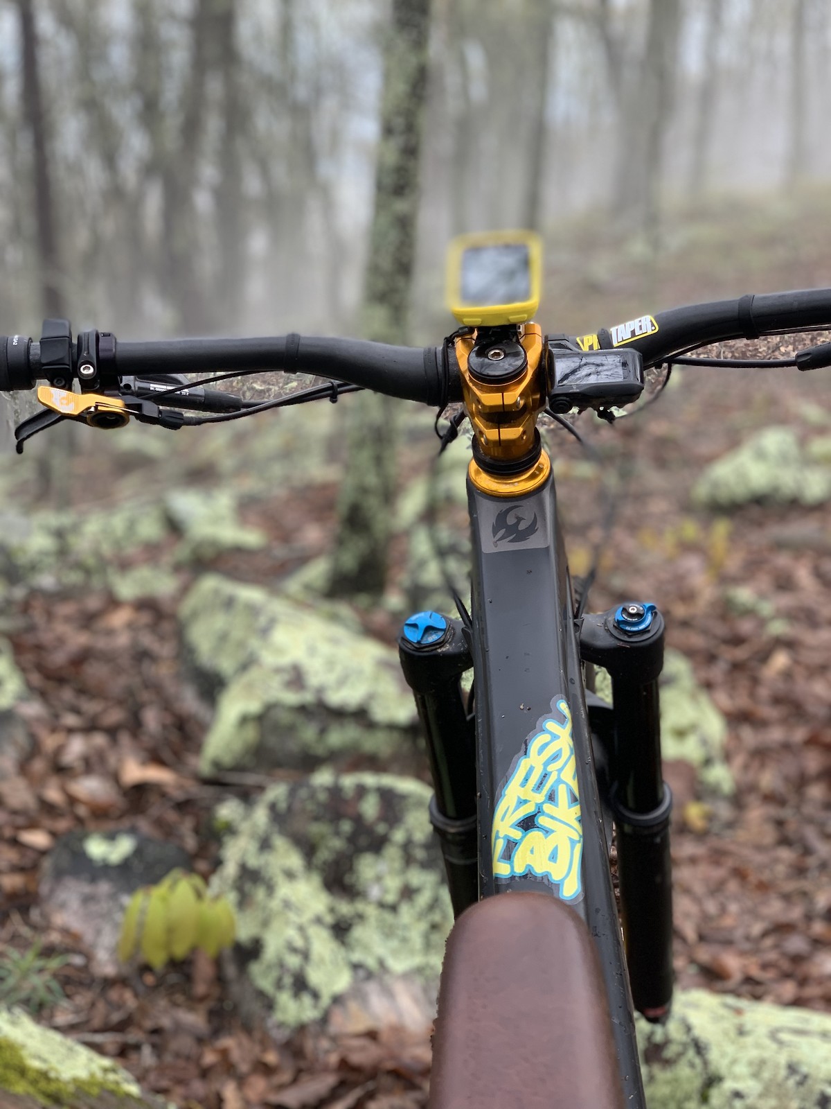 Pivot Shuttle DH - Fresh Bike Service, Inc.'s Bike Check - Vital MTB