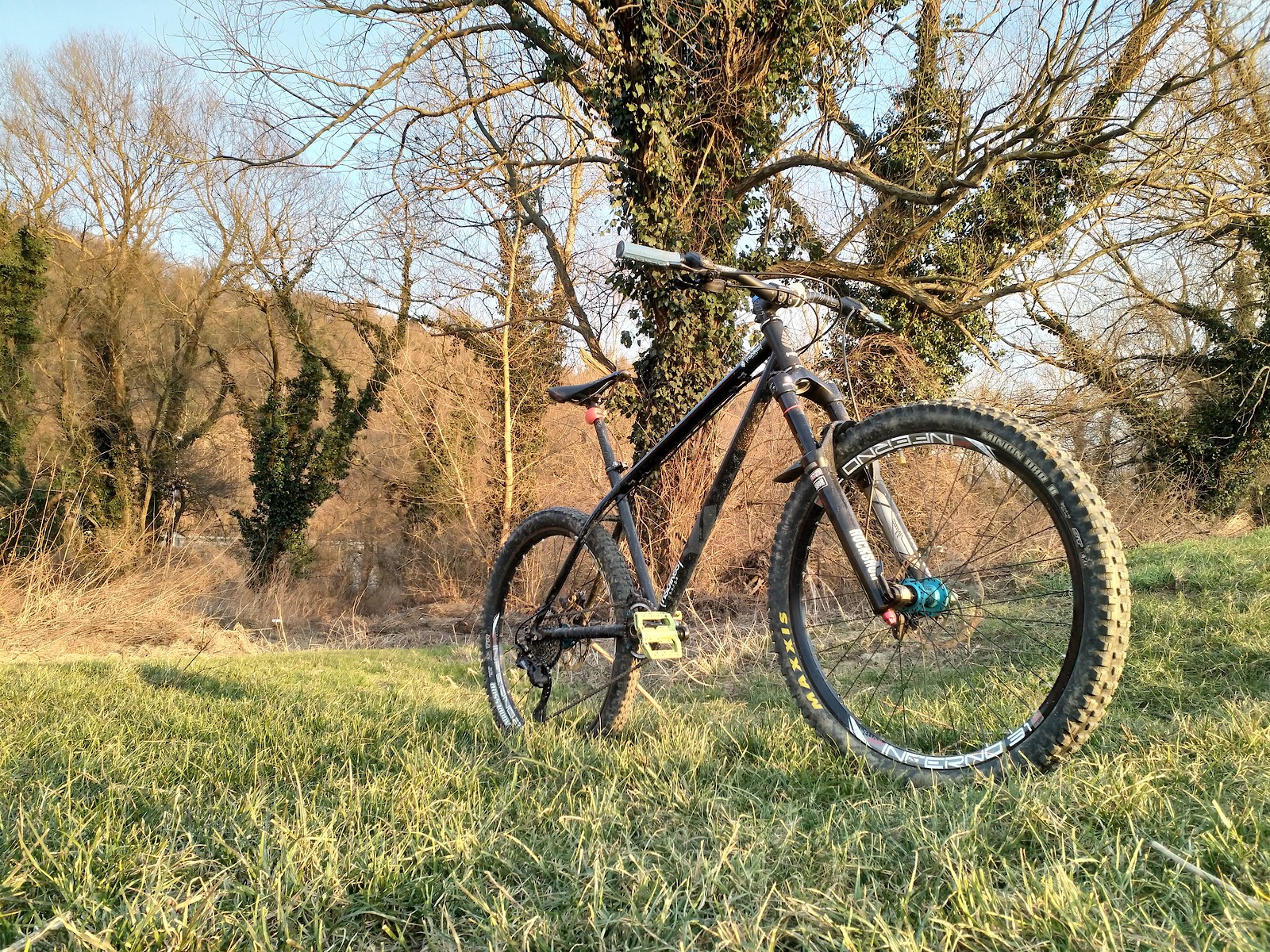 NS Surge - Dark Horse - PreBrzzi's Bike Check - Vital MTB