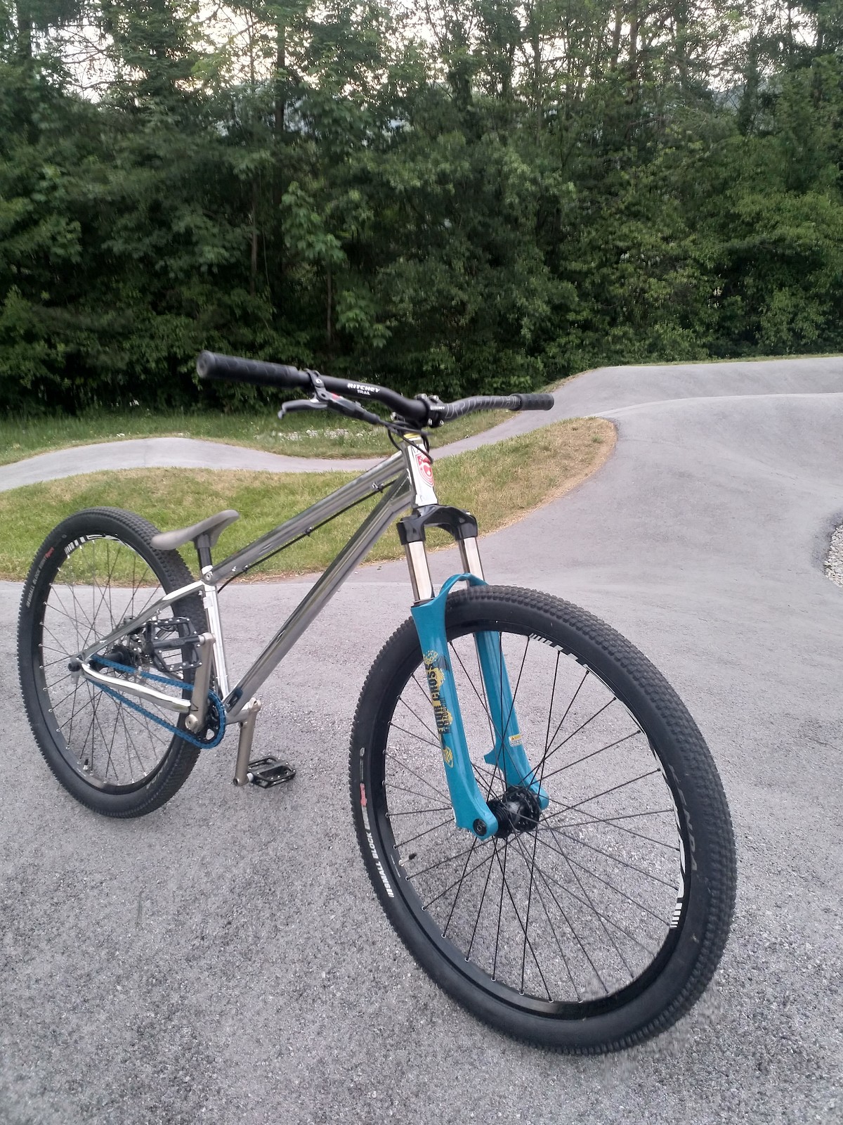 DJ 250 Norco - PreBrzzi's Bike Check - Vital MTB