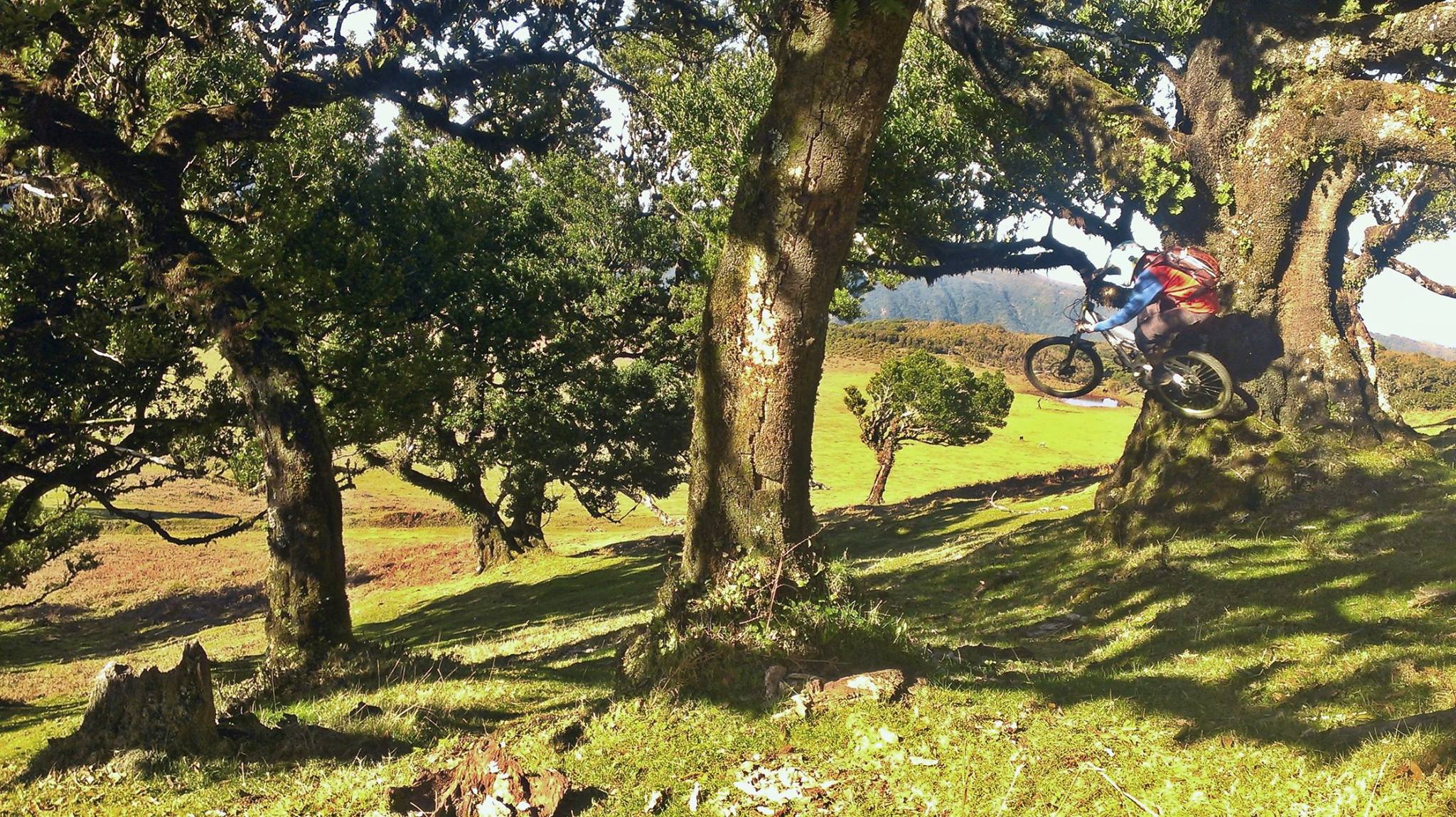 Magic tree jump by Dobromir Dobrev - D_Dobrev - Mountain Biking ...