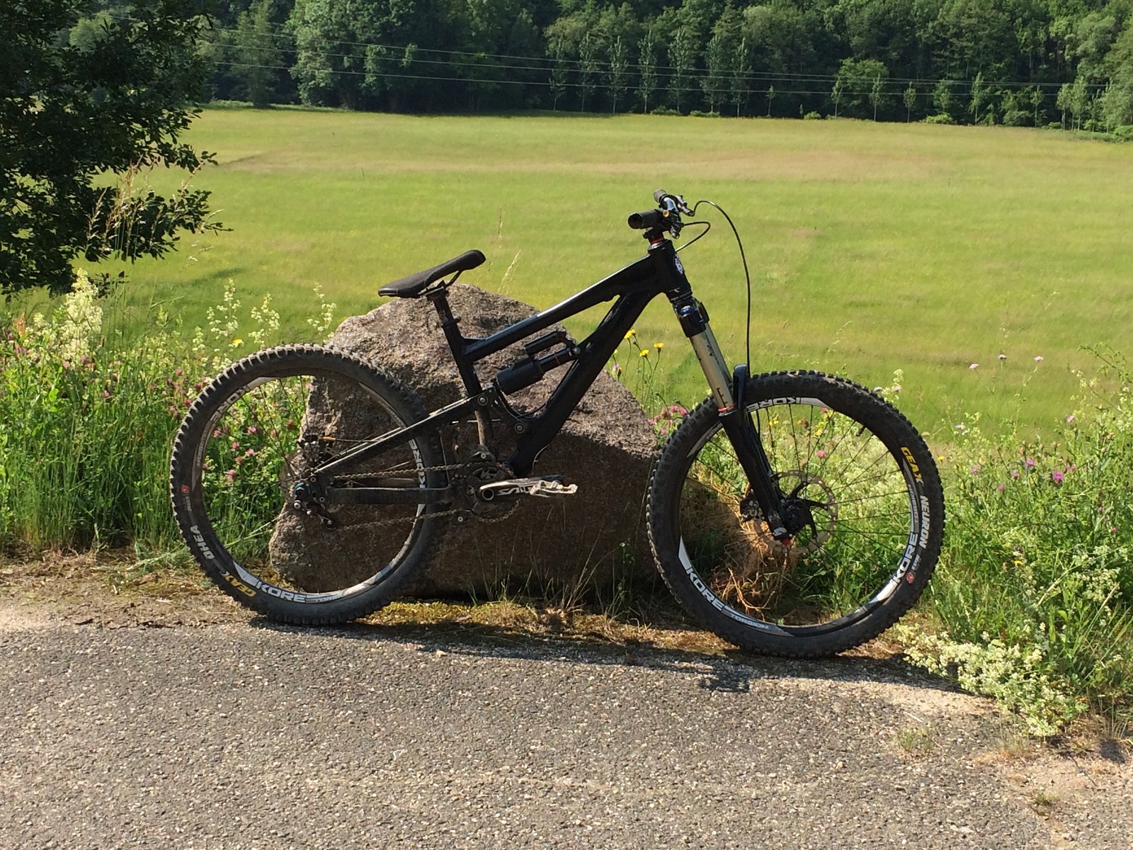 Cove STD - Chris1294's Bike Check - Vital MTB