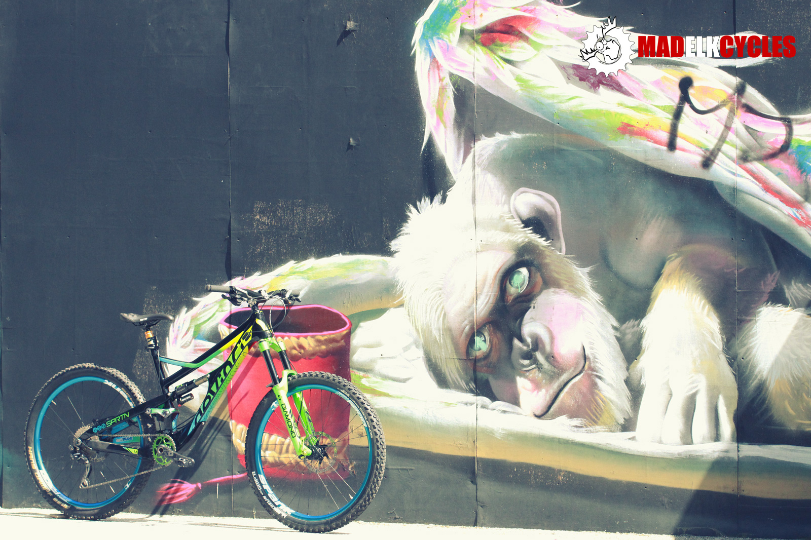 Devinci Spartan Carbon - DVO Shrek II - madelkcycles's Bike Check ...