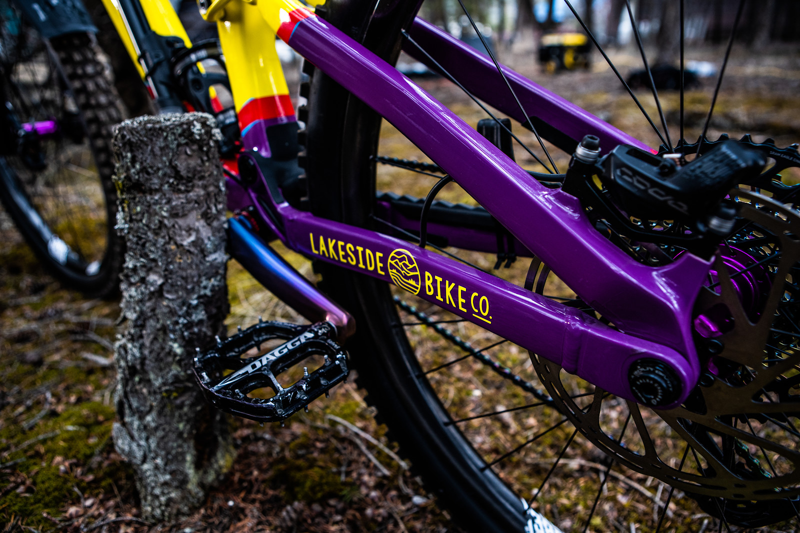 Salsa Cassidy - leeroybrown1985's Bike Check - Vital MTB