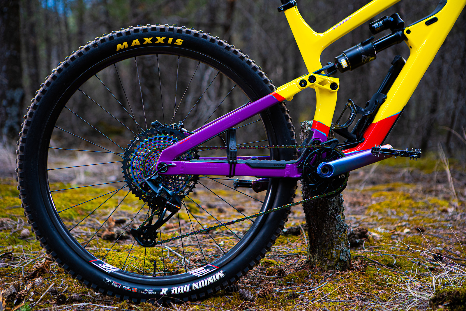 Salsa Cassidy - leeroybrown1985's Bike Check - Vital MTB