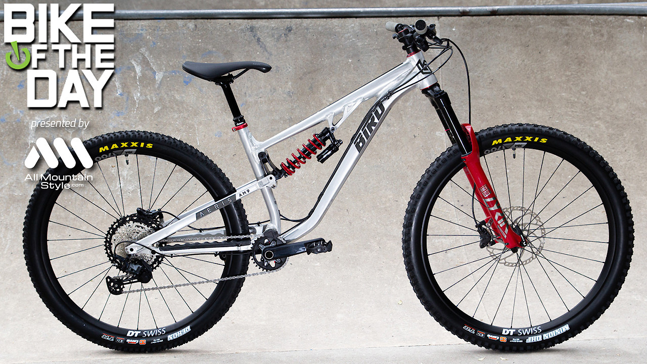 Bird Aeris AM9 Medium Long Raw - thingswelike's Bike Check - Vital MTB