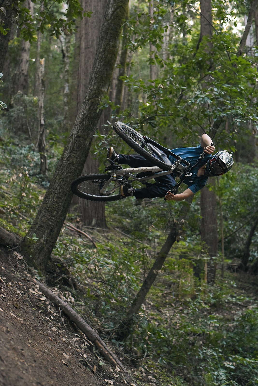 Ian Austin in SC - Dono_Francis - Mountain Biking Pictures - Vital MTB