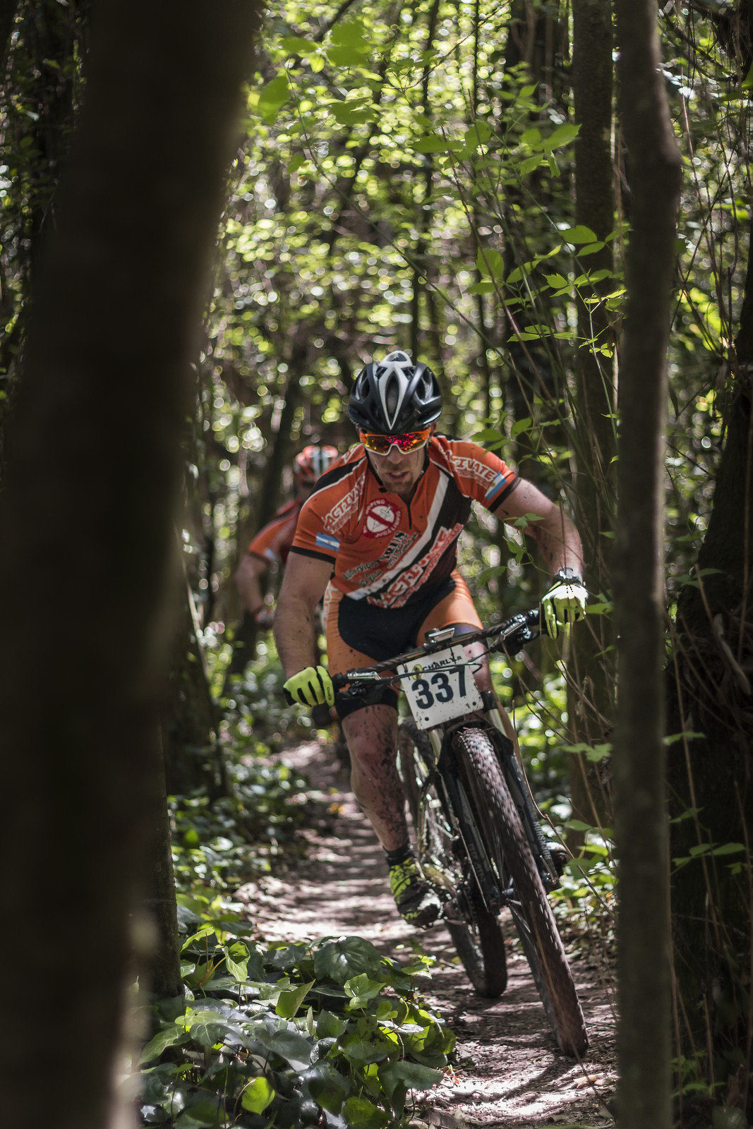 racing in the forest - mcirig - Mountain Biking Pictures - Vital MTB