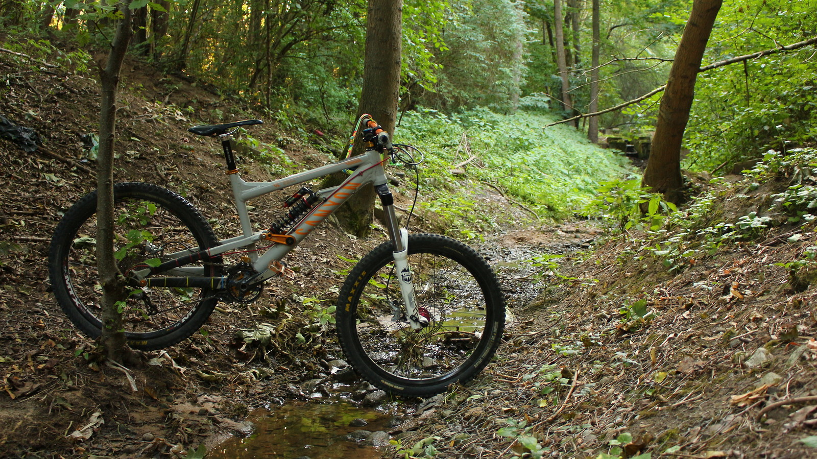 Canyon torque 2010(broken :c) - Marcin_Filip - Mountain Biking Pictures ...