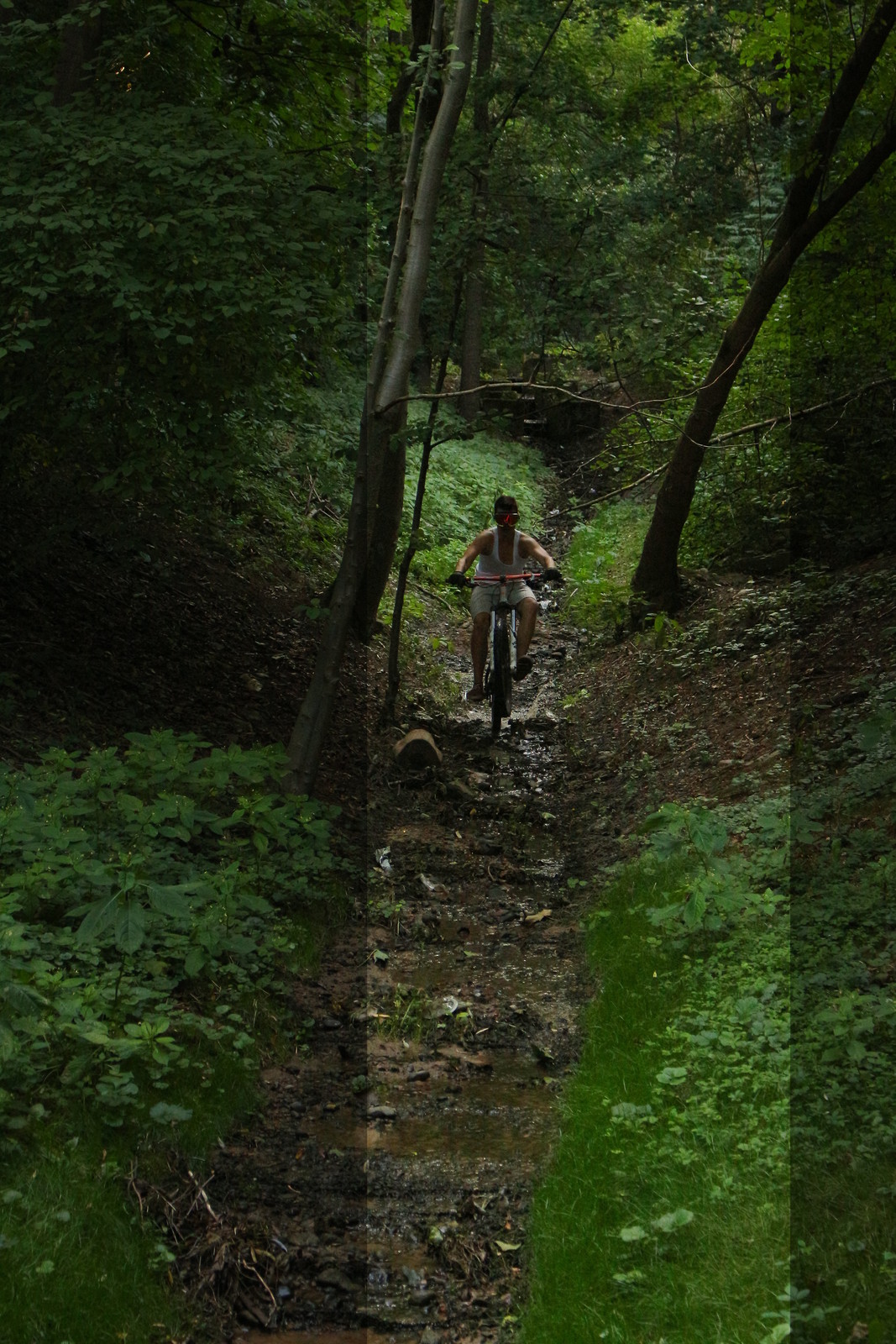 Enduro style :v - Marcin_Filip - Mountain Biking Pictures - Vital MTB