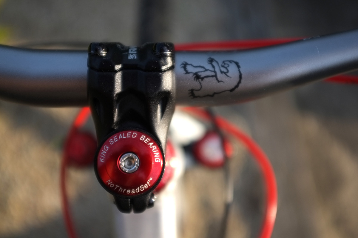 Raw knolly warden. - LLLLL's Bike Check - Vital MTB