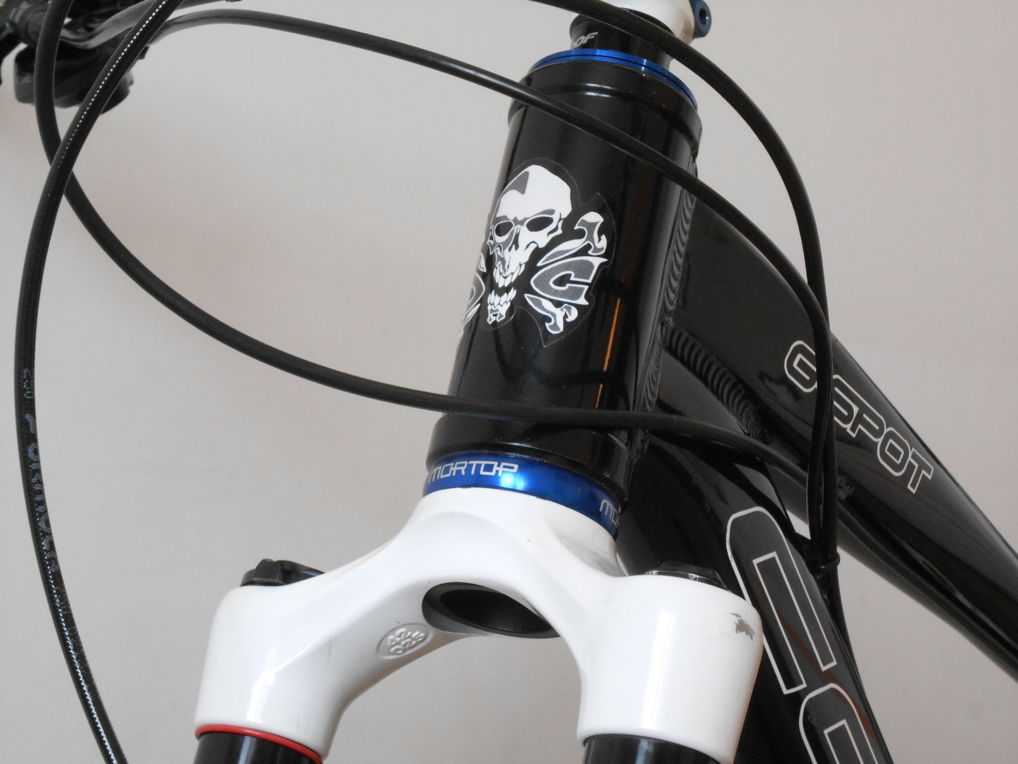 Cove G-spot - shape's Bike Check - Vital MTB