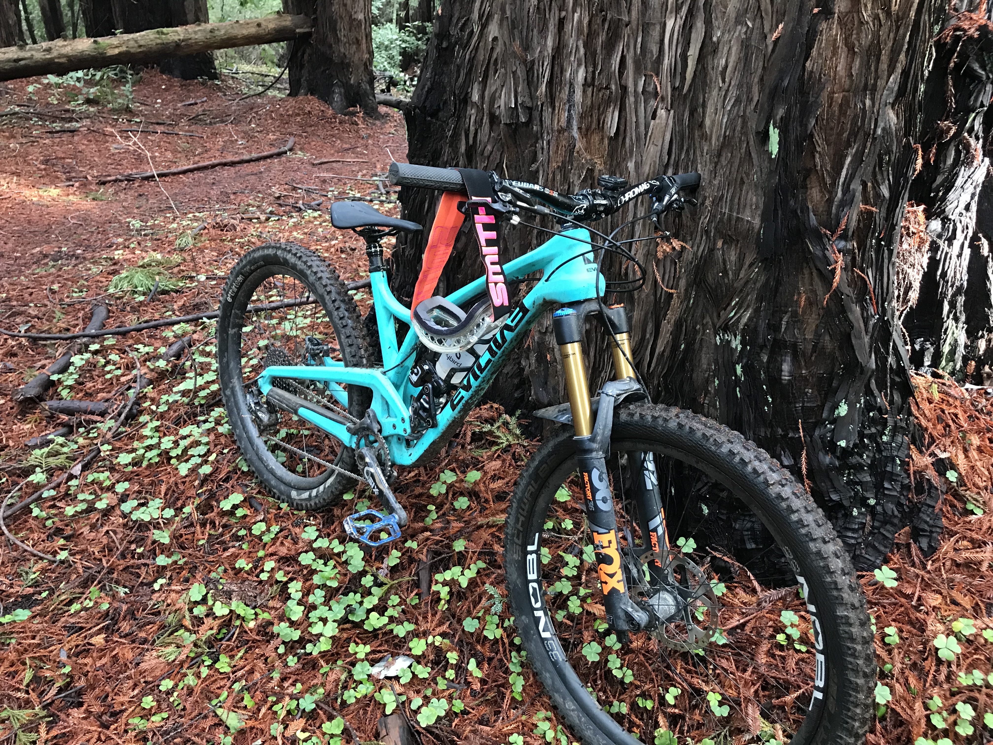 the 11-6ed Evil Calling - Dude!'s Bike Check - Vital MTB
