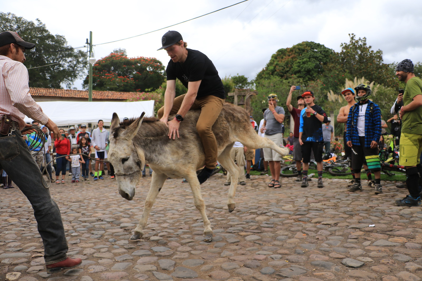 K_Warner burro, Yerba Buena, Jalisco, Mexico - MarinBikes - Mountain ...
