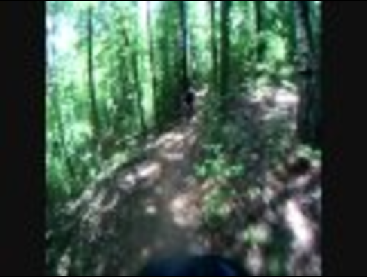 Pinhoti 2 downhill XC - singletrackslayer - Mountain Biking Videos ...