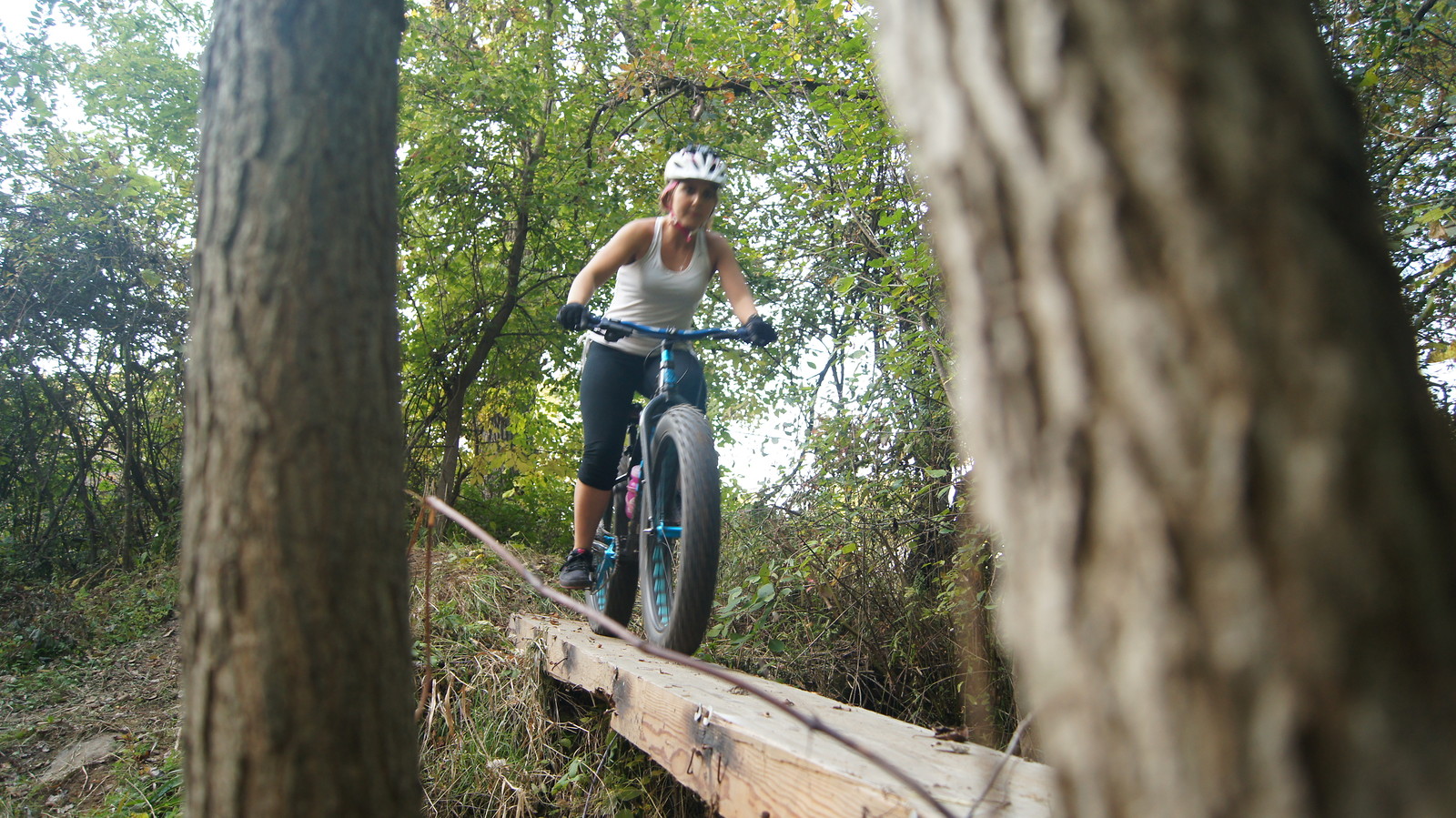 Skinny Between the Trees - KillerShot - Mountain Biking Pictures ...