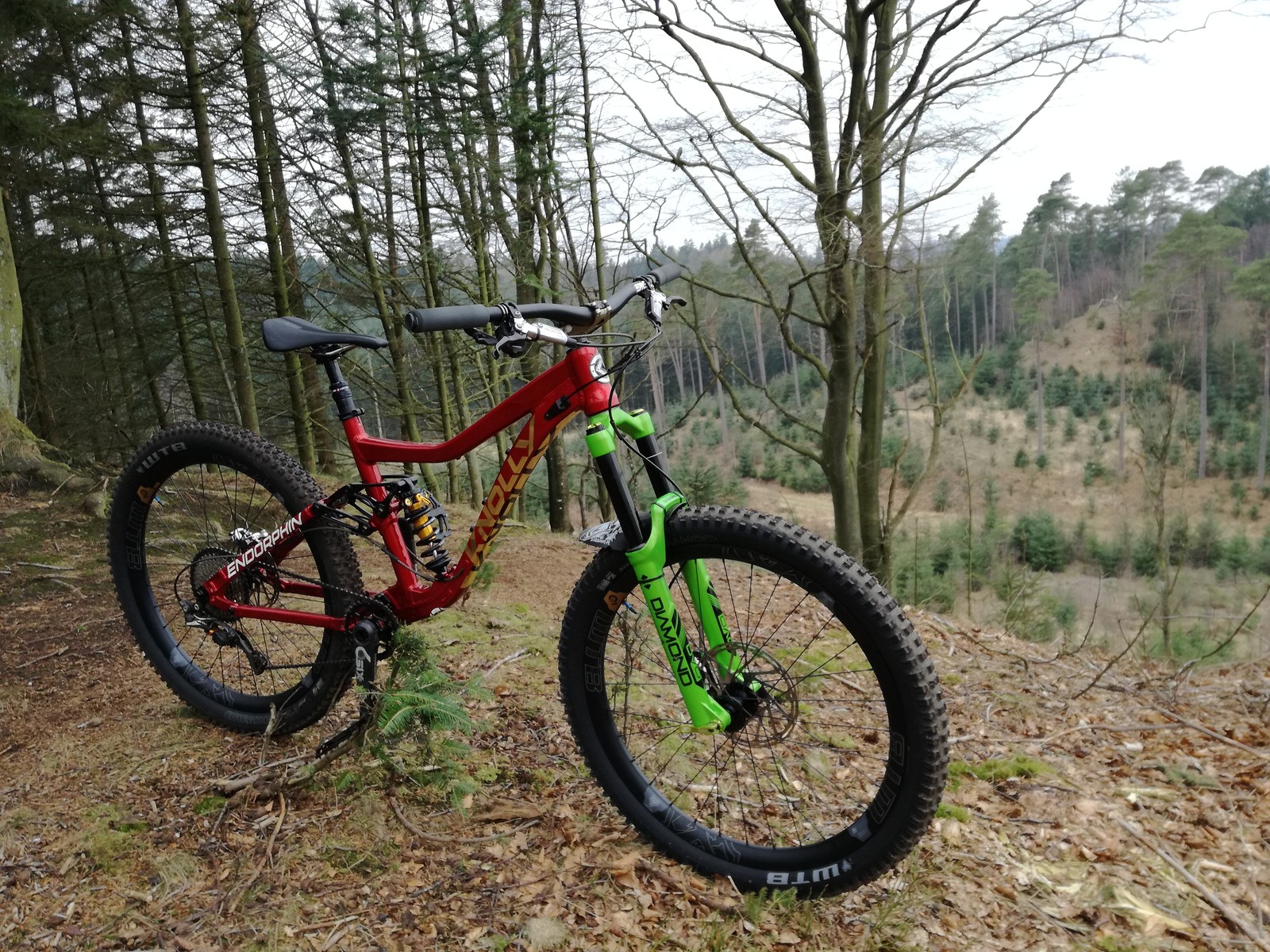 Knolly Endorphin Trail sniper - MURO's Bike Check - Vital MTB