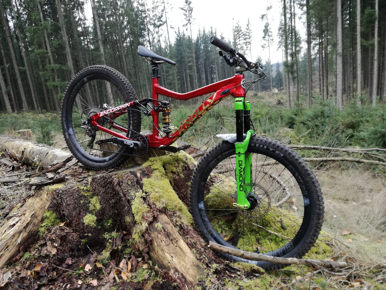 Knolly Endorphin Trail sniper - MURO's Bike Check - Vital MTB