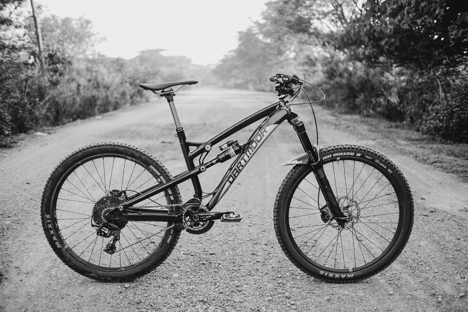 Dartmoor Wish 2016 - skav's Bike Check - Vital MTB