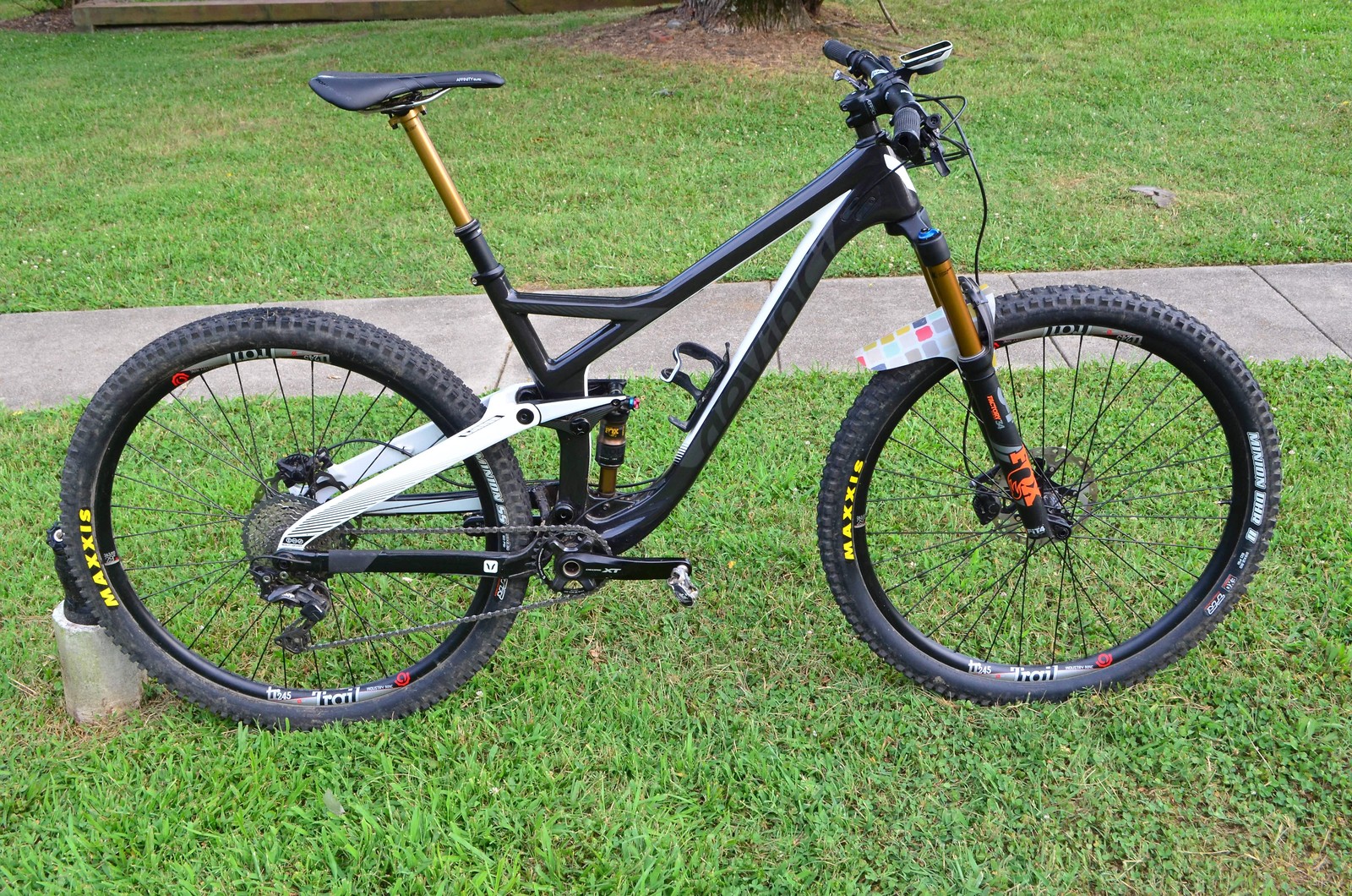 Devinci Django 29 - Custom Build - bbeck's Bike Check - Vital MTB