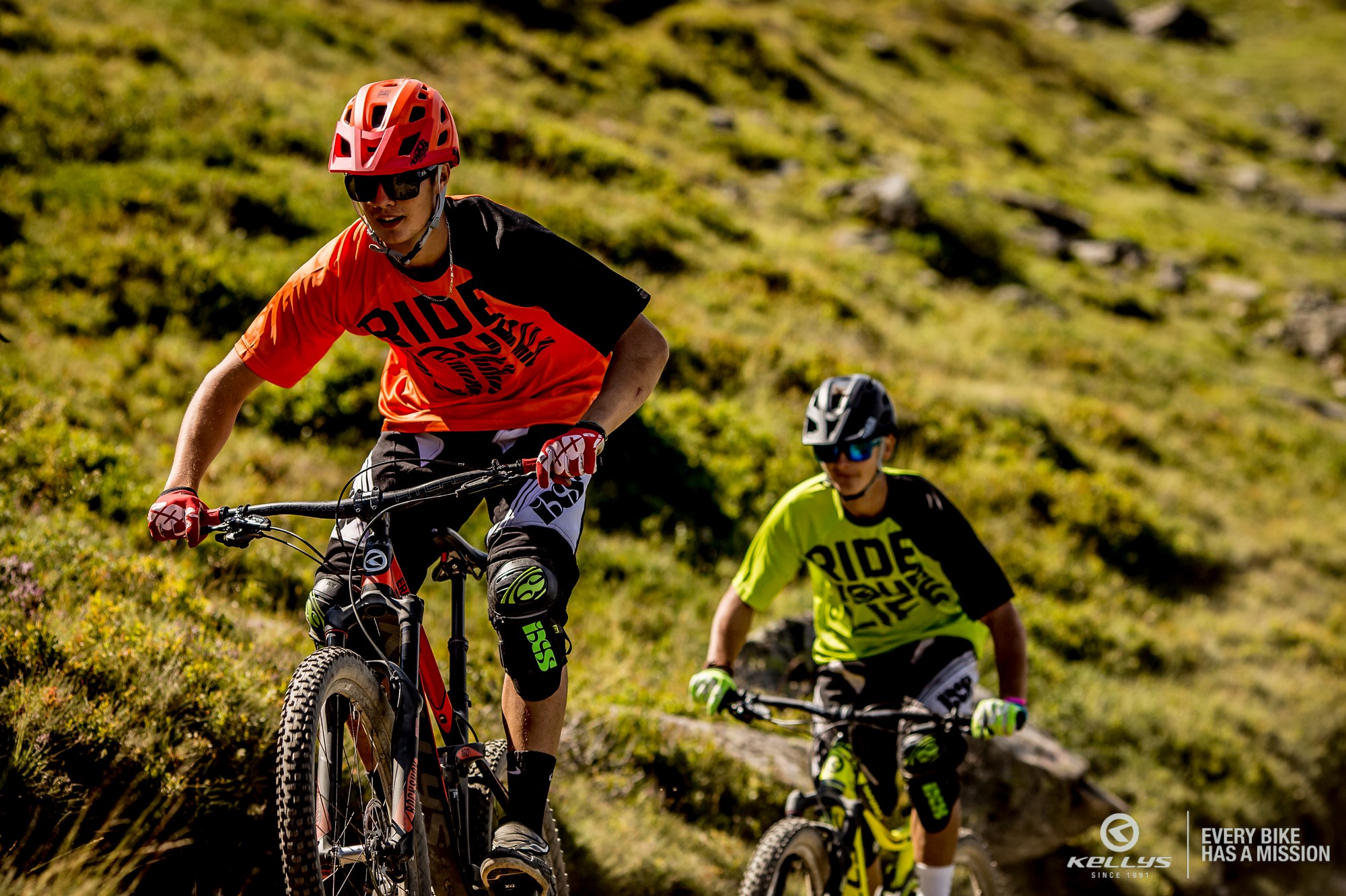 KFT 44 - KellysBicycles - Mountain Biking Pictures - Vital MTB