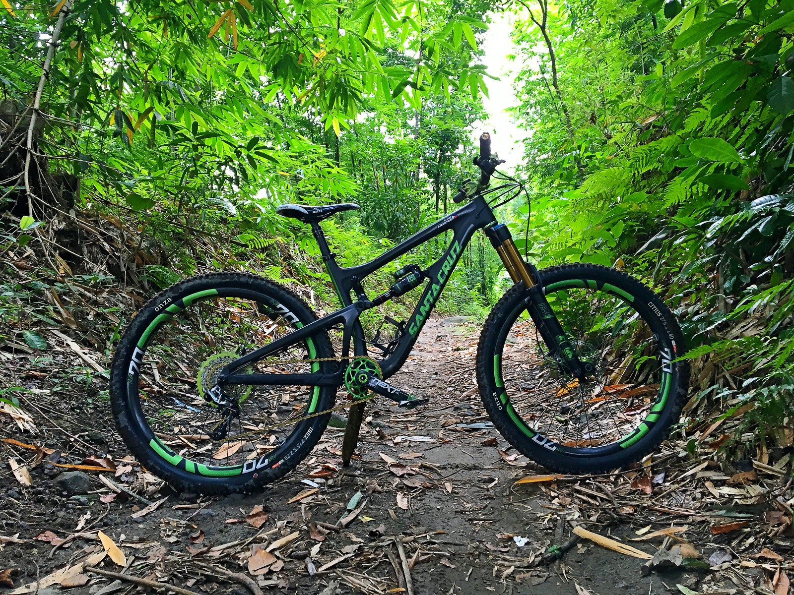 Custom Chrome Green Santa Cruz Nomad by uig cycles - luigilizares77's ...