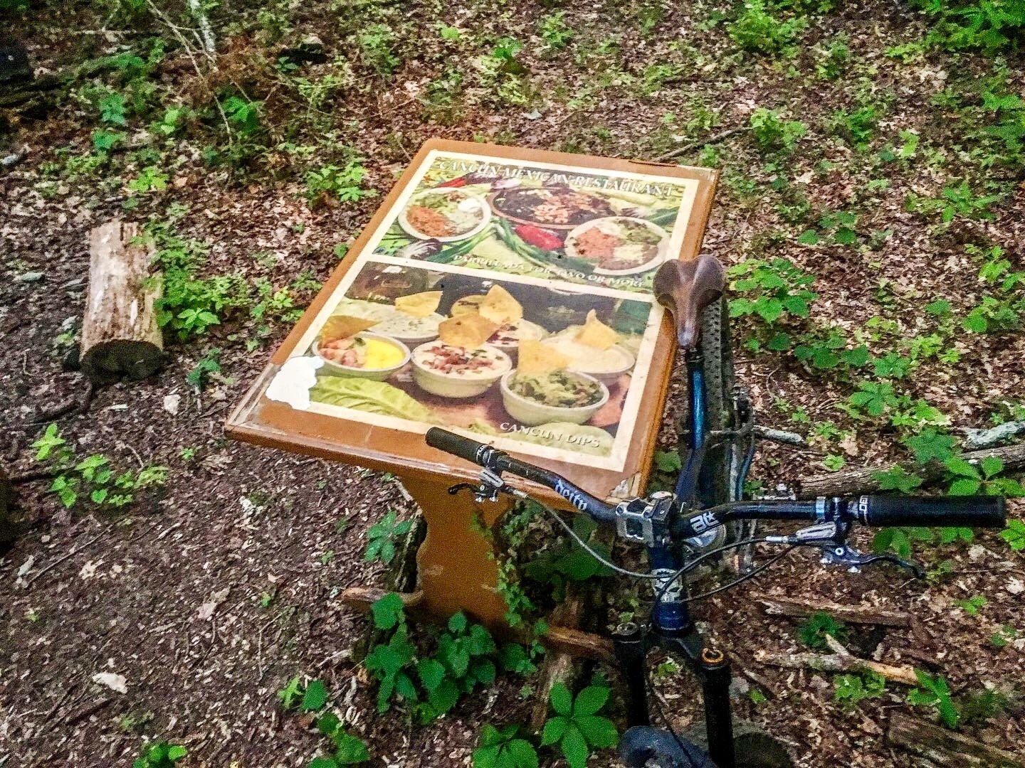 Table in the woods - rover31 - Mountain Biking Pictures - Vital MTB