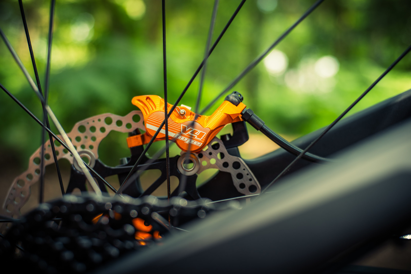 Transition TR11 Custom - BRINK's Bike Check - Vital MTB