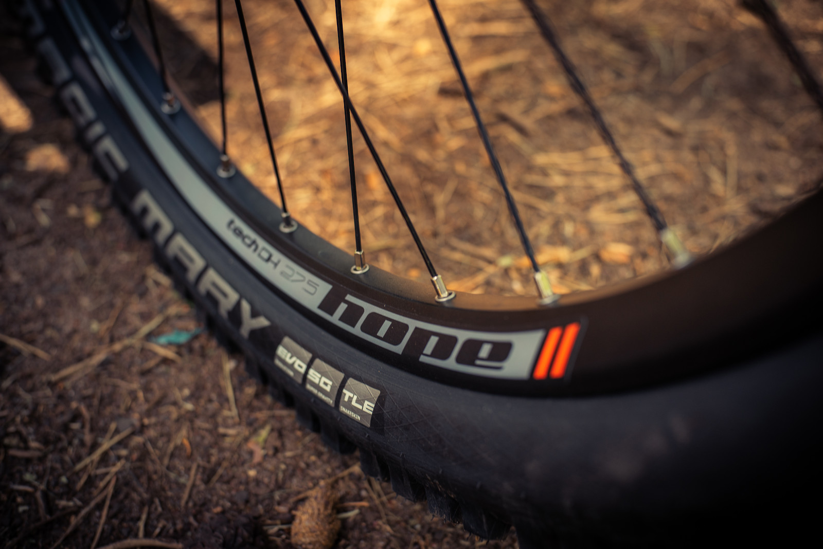 Transition TR11 Custom - BRINK's Bike Check - Vital MTB