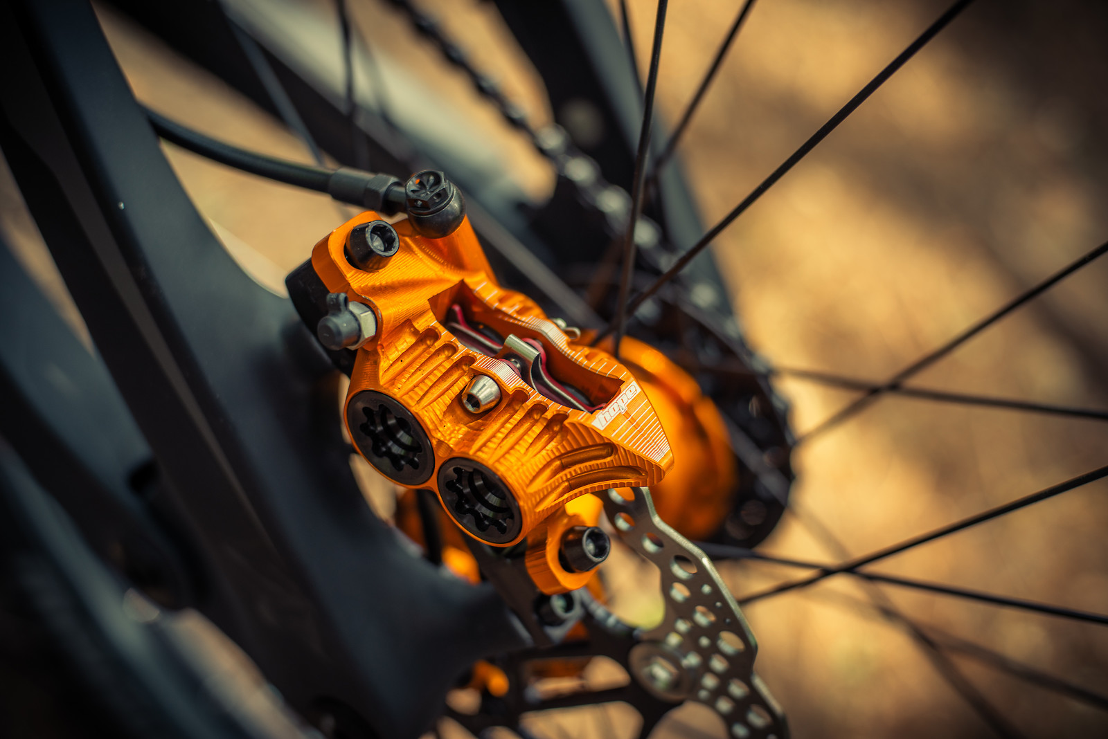 Transition TR11 Custom - BRINK's Bike Check - Vital MTB