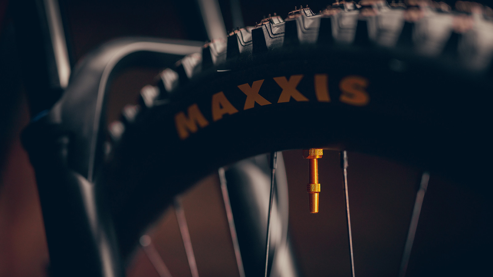 2021 Santa Cruz V10CC Ohlins Edition - BRINK's Bike Check - Vital MTB