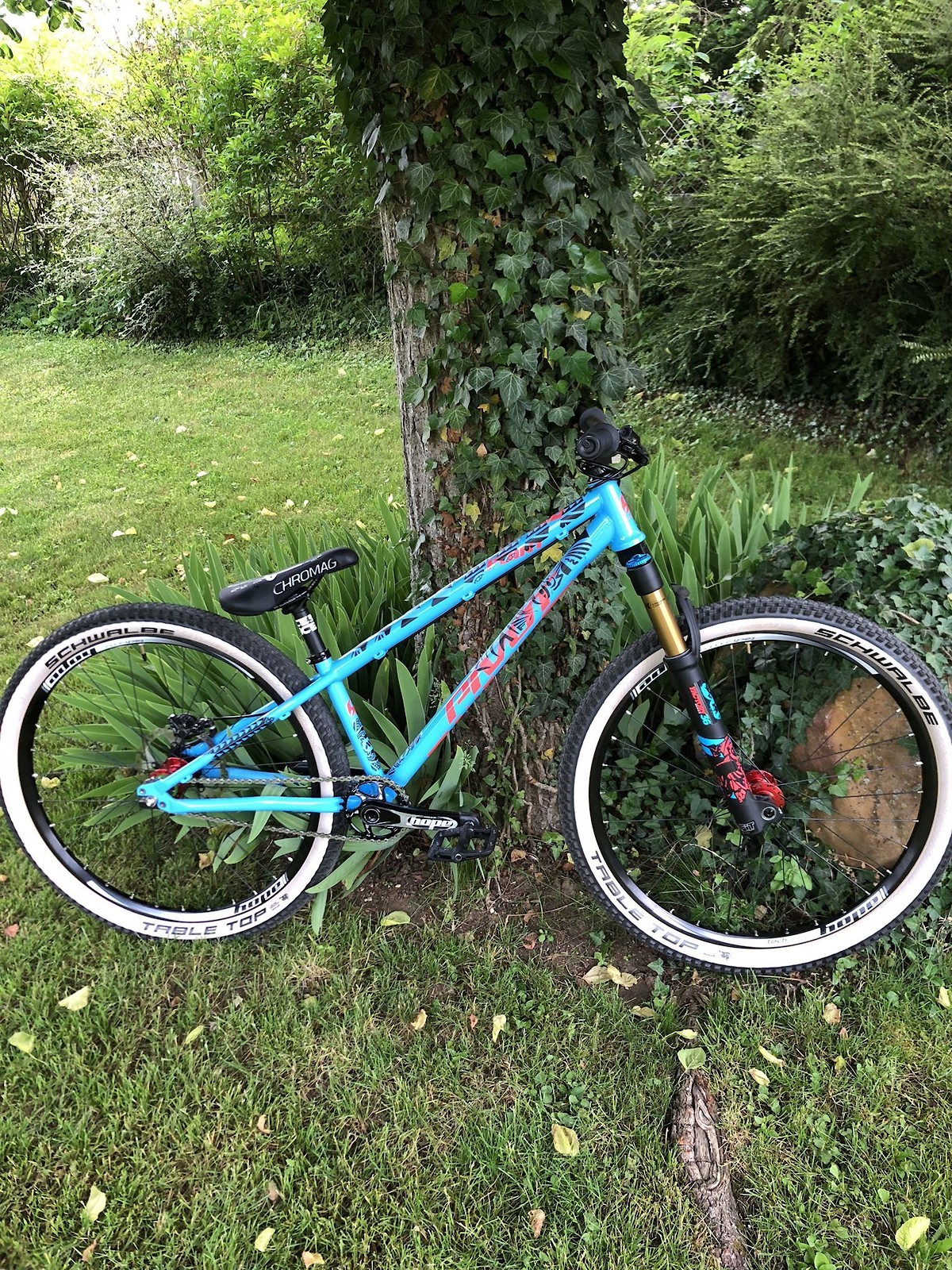 Pivot POINT - ThomasDUFAUD's Bike Check - Vital MTB