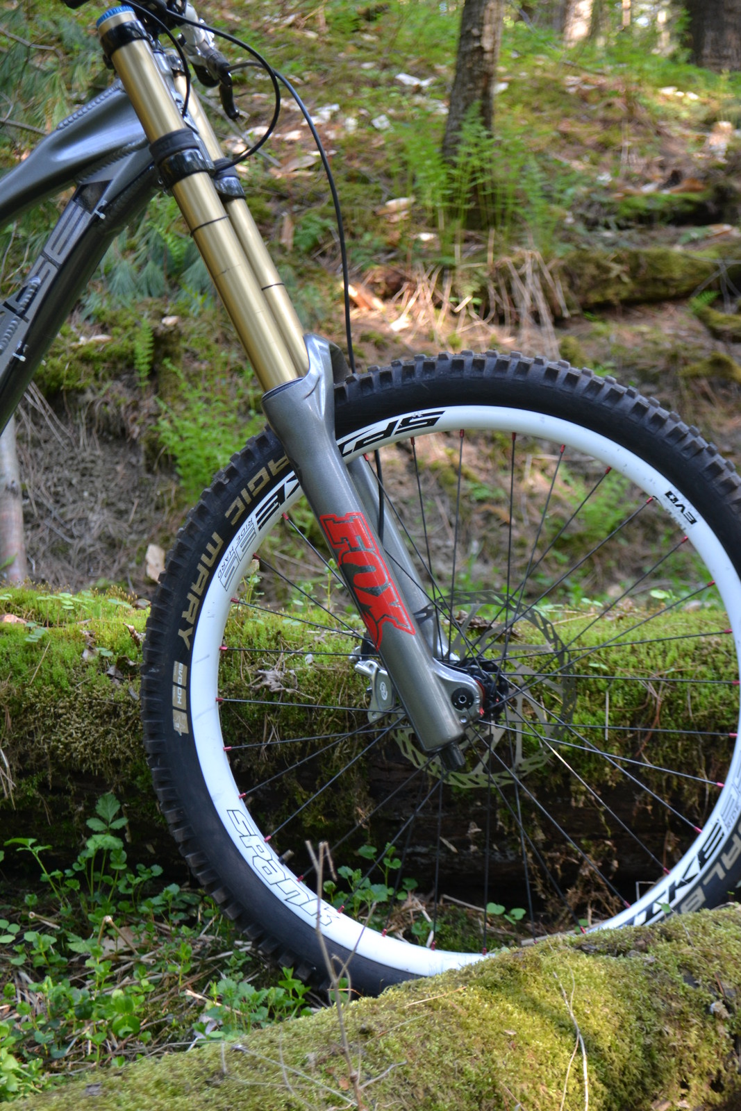 Intense 951 - jscyr's Bike Check - Vital MTB