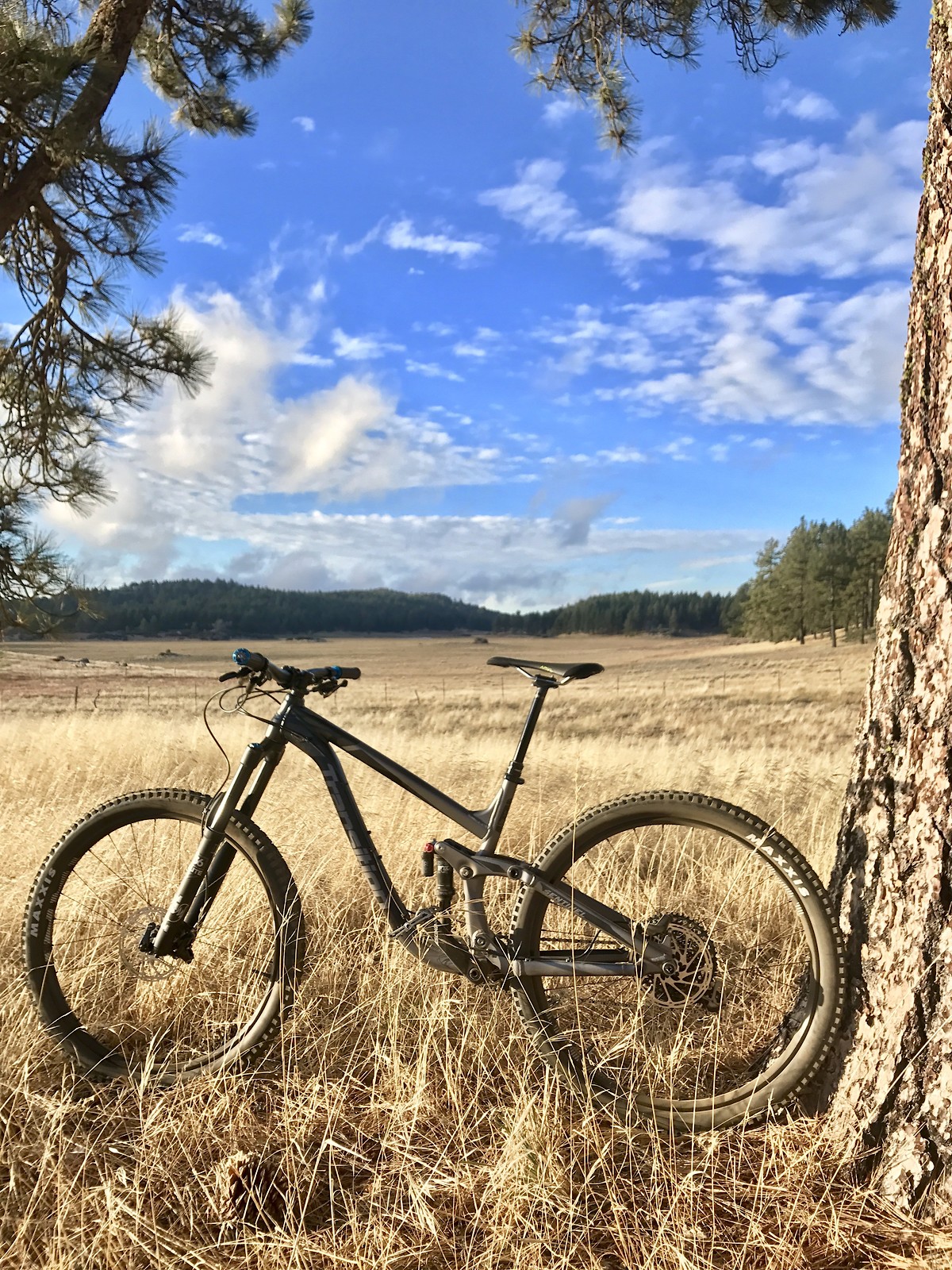 2018 Transition Sentinel - ShavedGori's Bike Check - Vital MTB