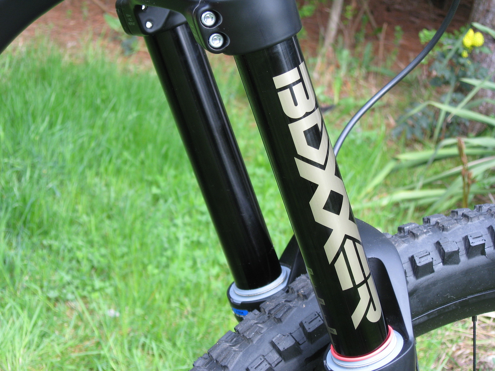 Trek Session 8 - Bert Freeride's Bike Check - Vital MTB