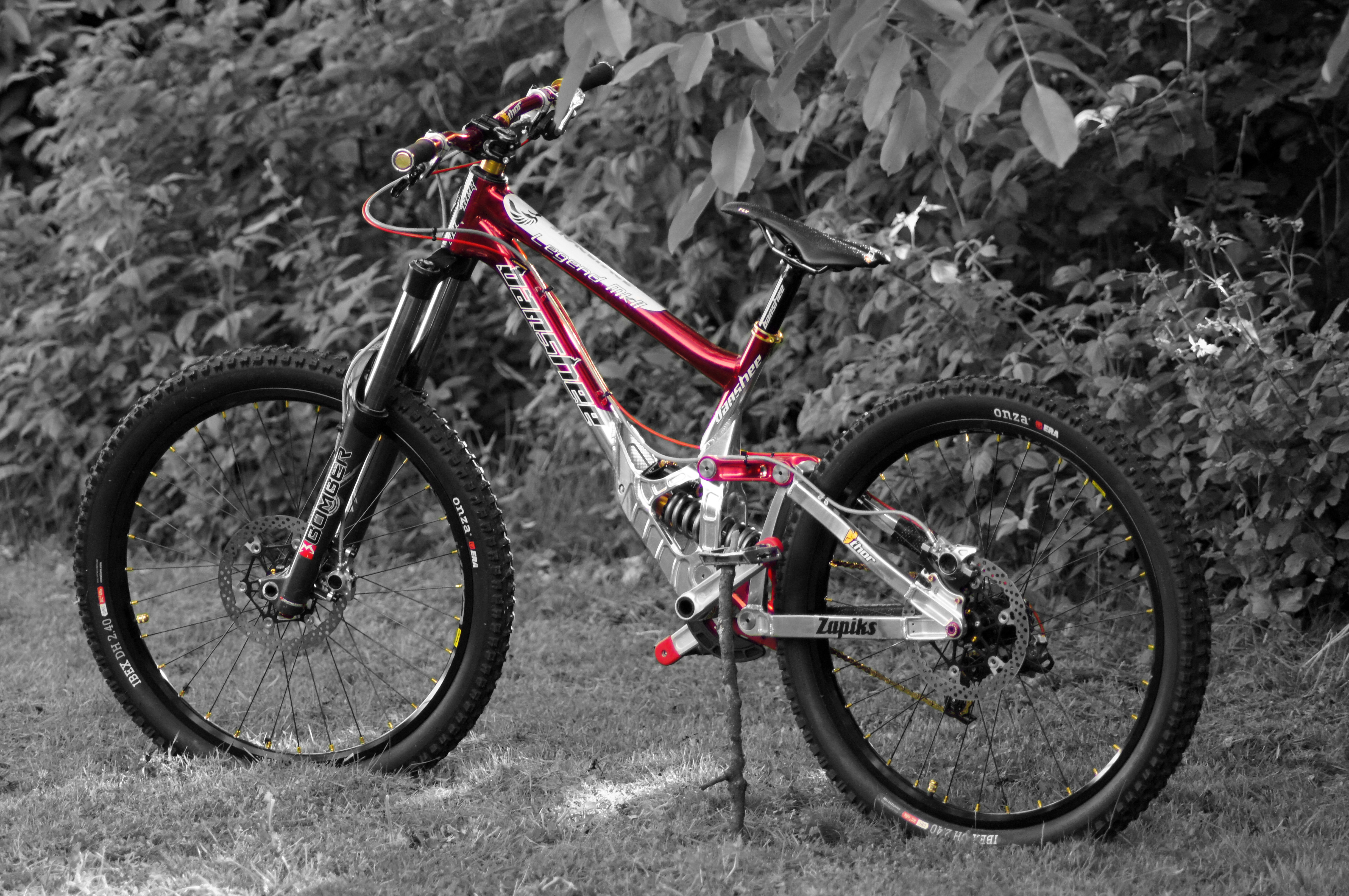 PimP Banshee Legend MKII - FireFly's Bike Check - Vital MTB
