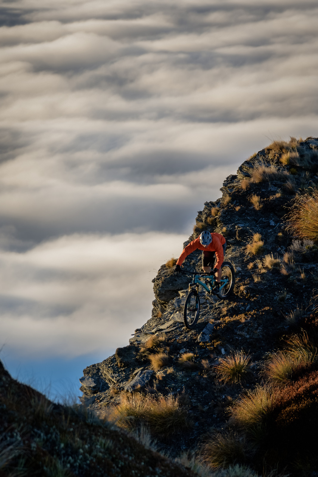 Ridge Run - mattcorbett_nz - Mountain Biking Pictures - Vital MTB