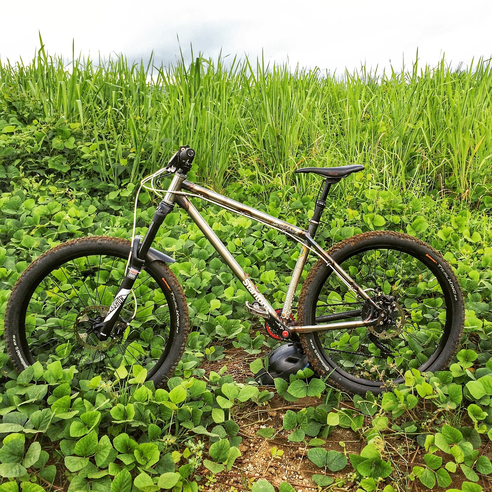 Stanton Switchback Raw - kulugmoy's Bike Check - Vital MTB