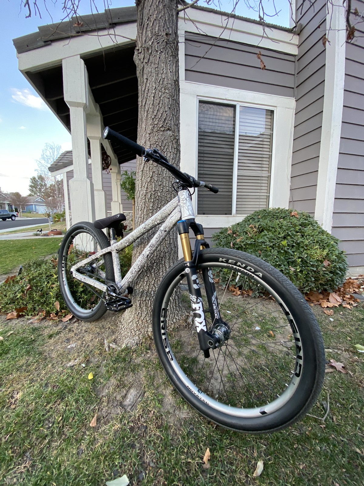 Custom Banshee Amp - The Moving Canvas - Cole Fiene's Bike Check ...