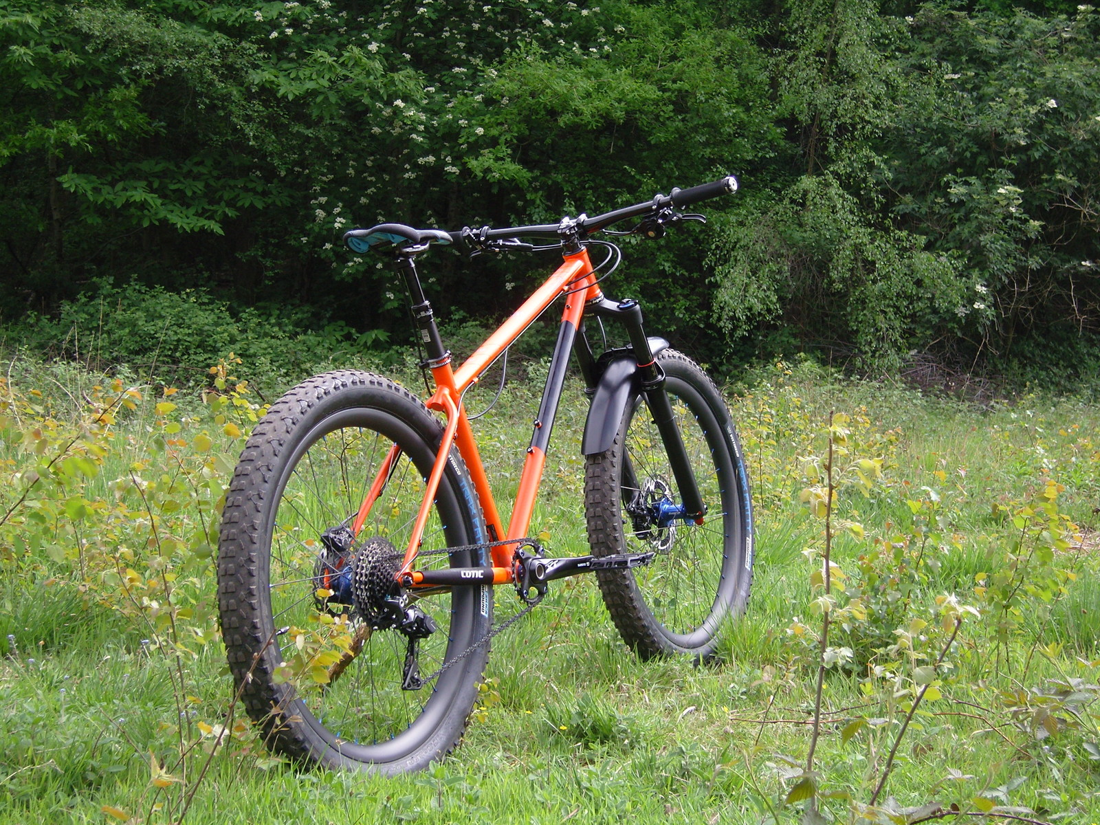 Solaris Plus - brunofox's Bike Check - Vital MTB