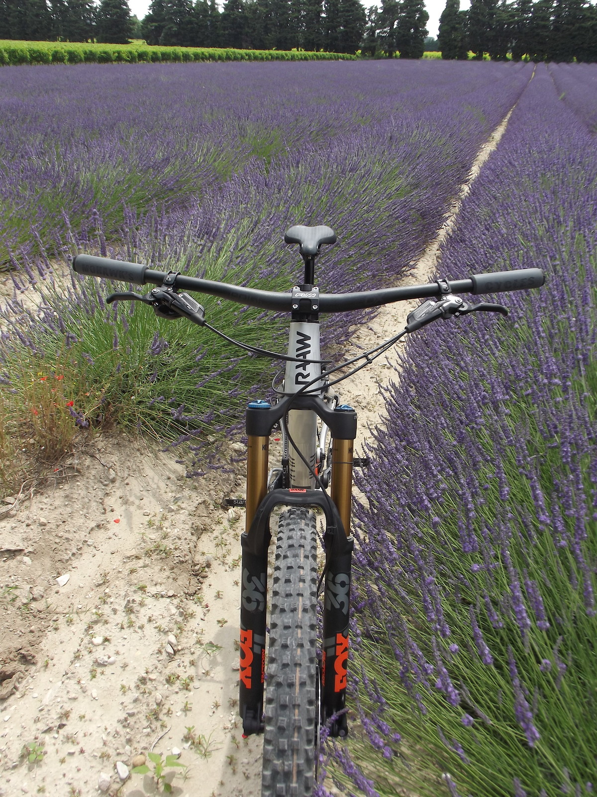 RAAW Madonna - dom's Bike Check - Vital MTB