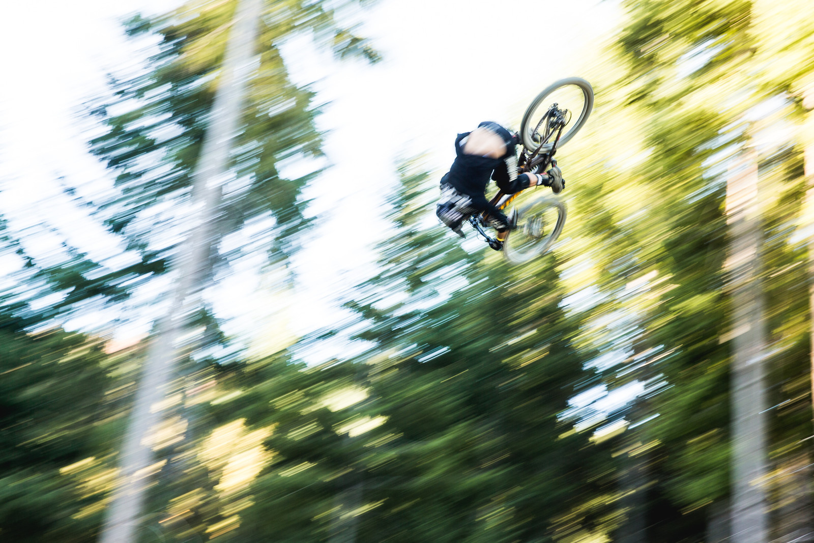 RDog - McGazza Fest Dream Track Jam - Mountain Biking Pictures - Vital MTB