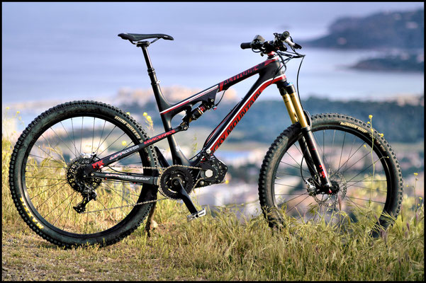 superlite RM altitude 770 with LIFT-MTB motor kit - lift-mtb.com's Bike ...