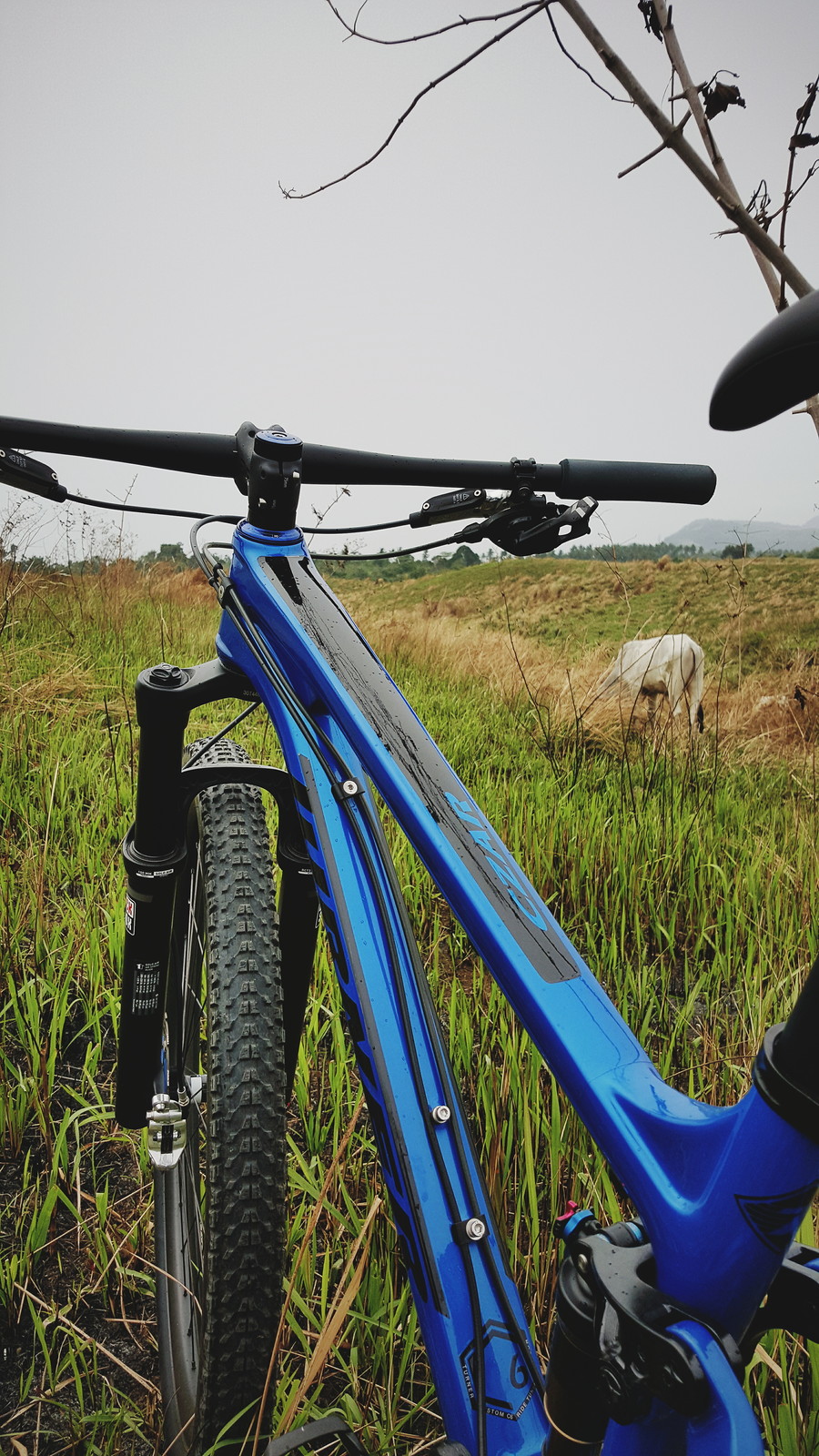 Turner Czar Ver 1.1 Candy Blue 29er 2015 - topz222's Bike Check - Vital MTB