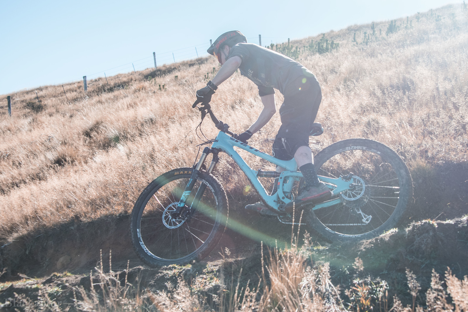 bones mend - specializedphotog - Mountain Biking Pictures - Vital MTB